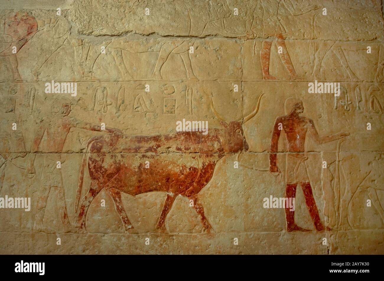 Prince of egypt hi-res stock photography and images - Alamy