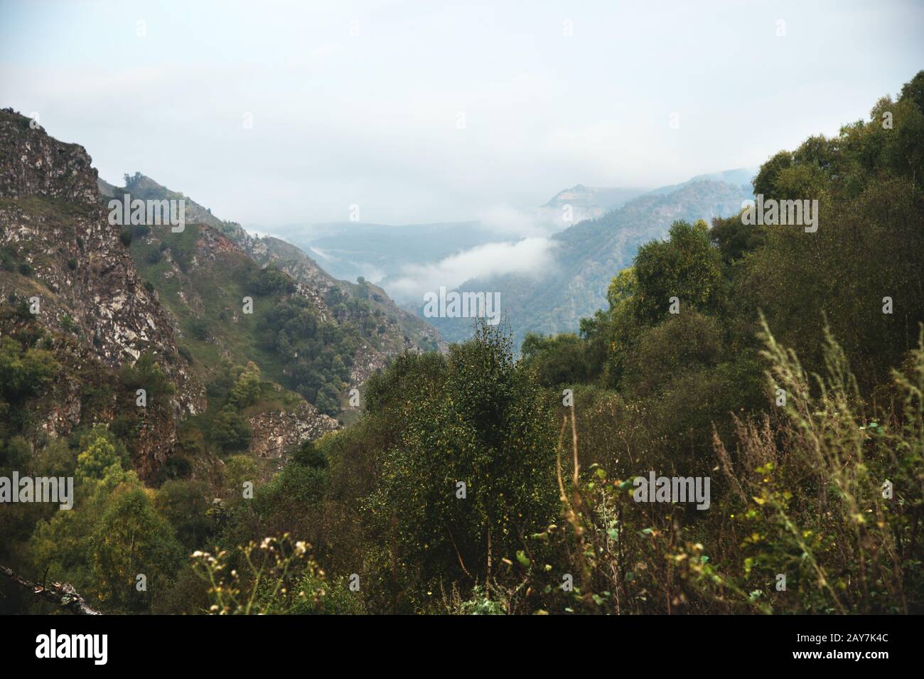 A beautiful morning landscape of gorge in the Caucasus Stock Photo - Alamy