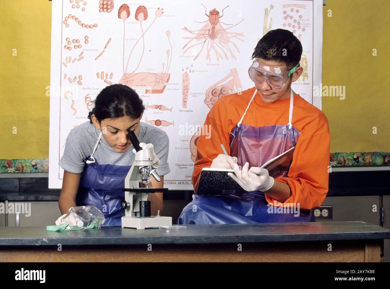 Lab partners hi-res stock photography and images - Alamy