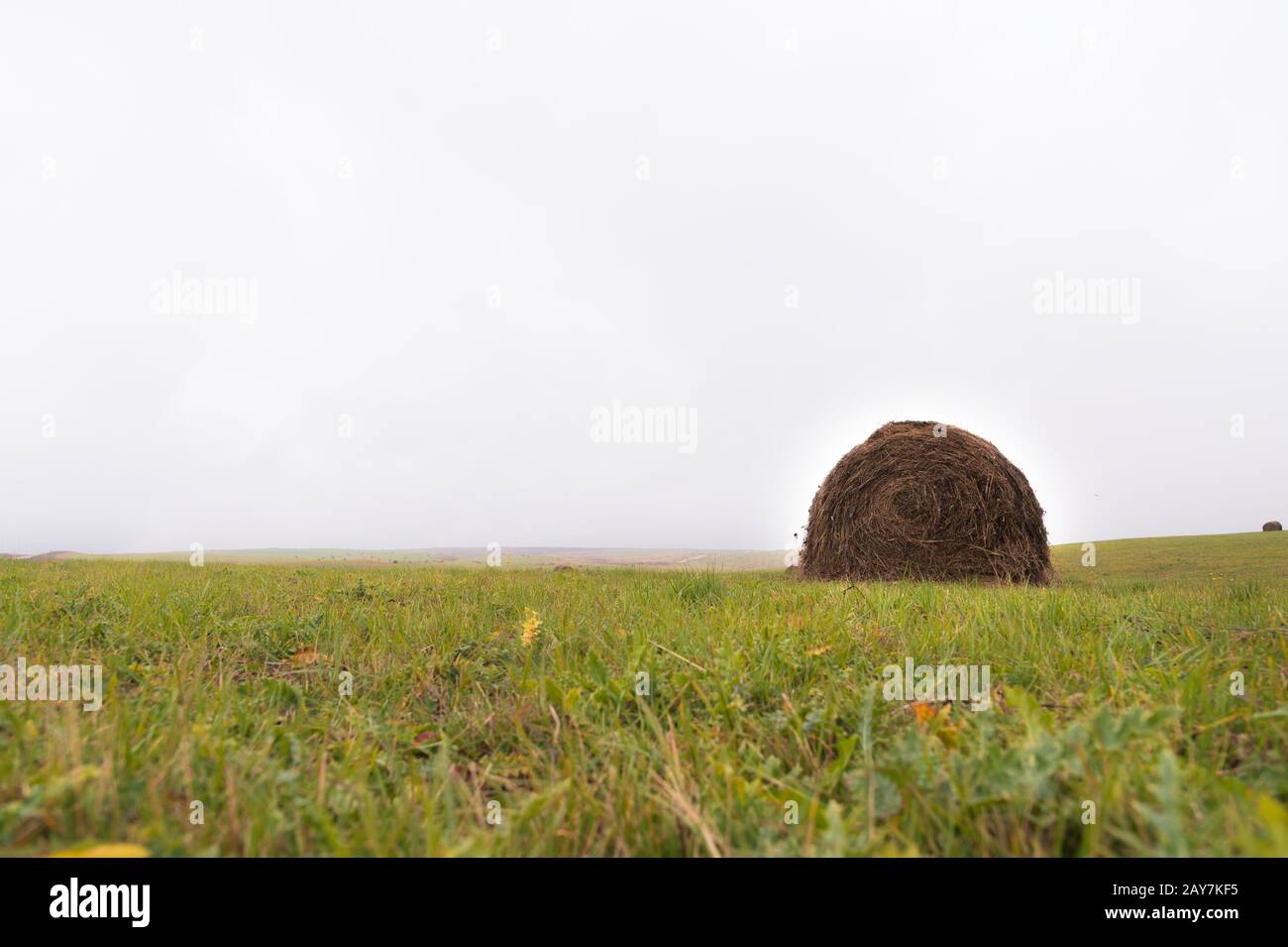Round haystack on a sloping green field in cloudy weather Stock Photo ...