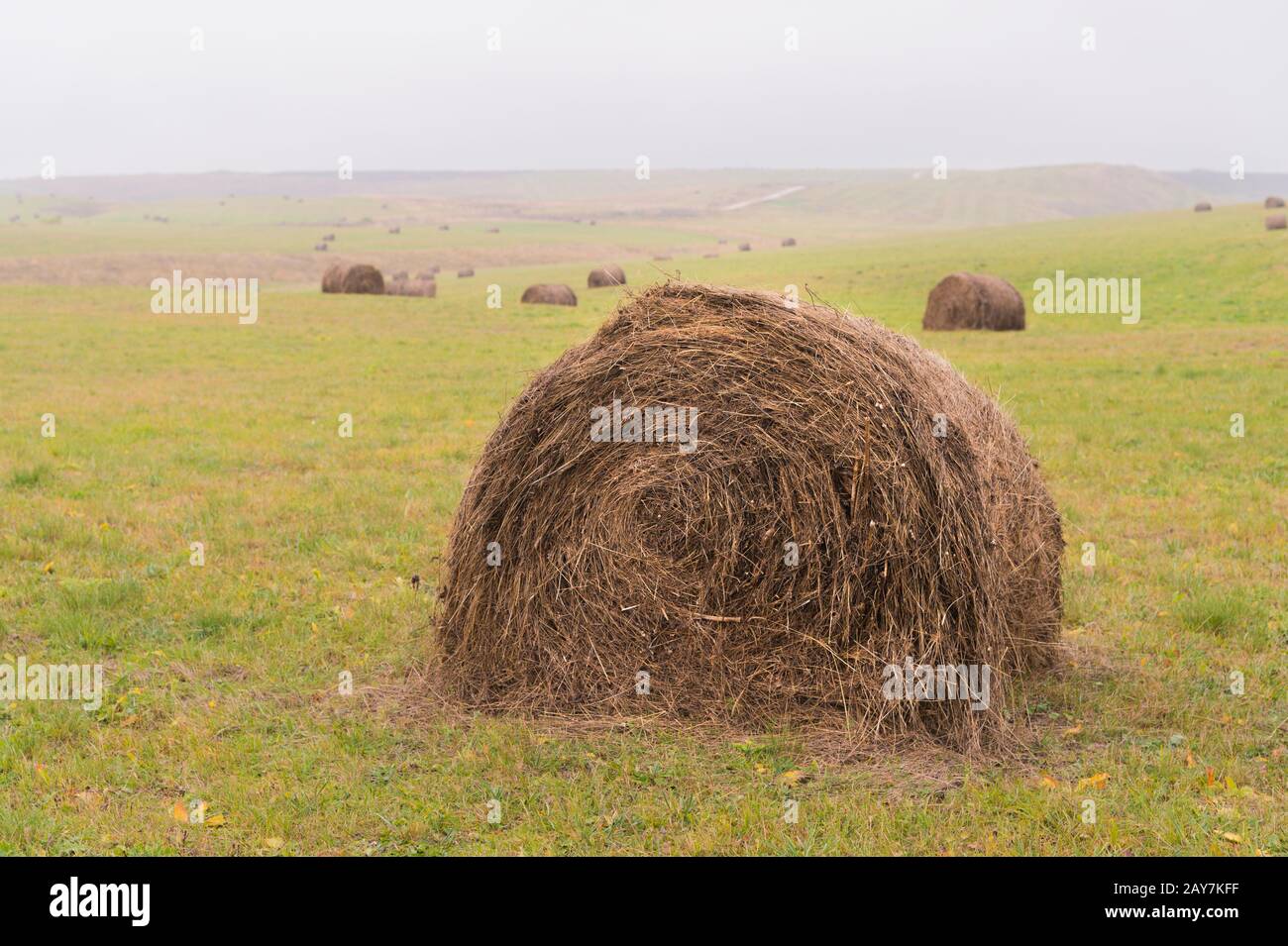 Round haystack on a sloping green field in cloudy weather Stock Photo ...