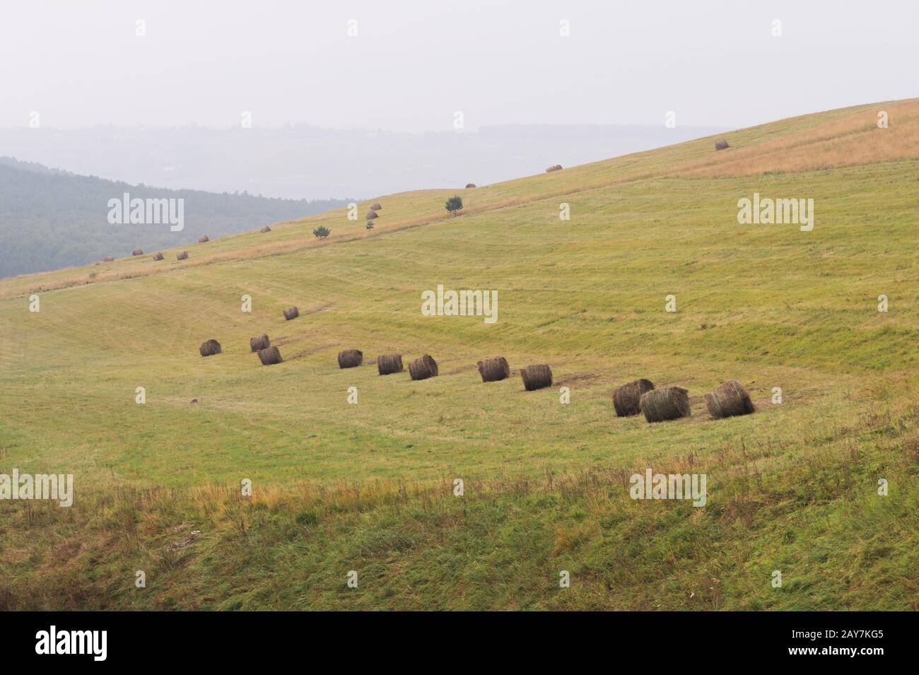 Round haystack on a sloping green field in cloudy weather Stock Photo ...