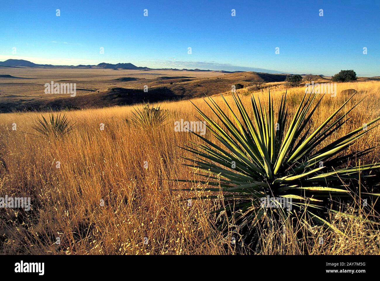 Fort Davis State Park High Resolution Stock Photography and Images - Alamy