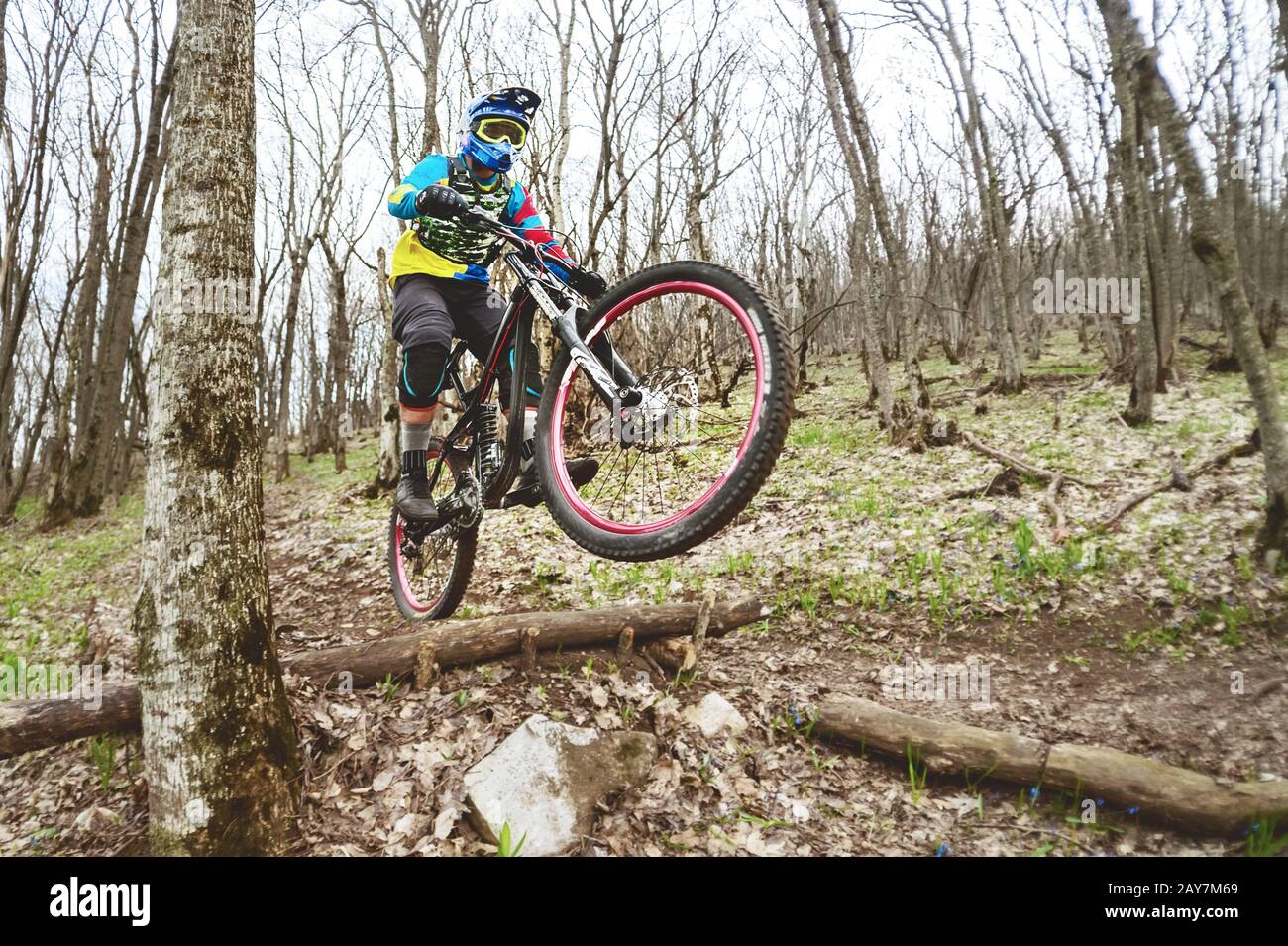 A mountain bike rider jumps from a springboard in a foggy forest, in ...