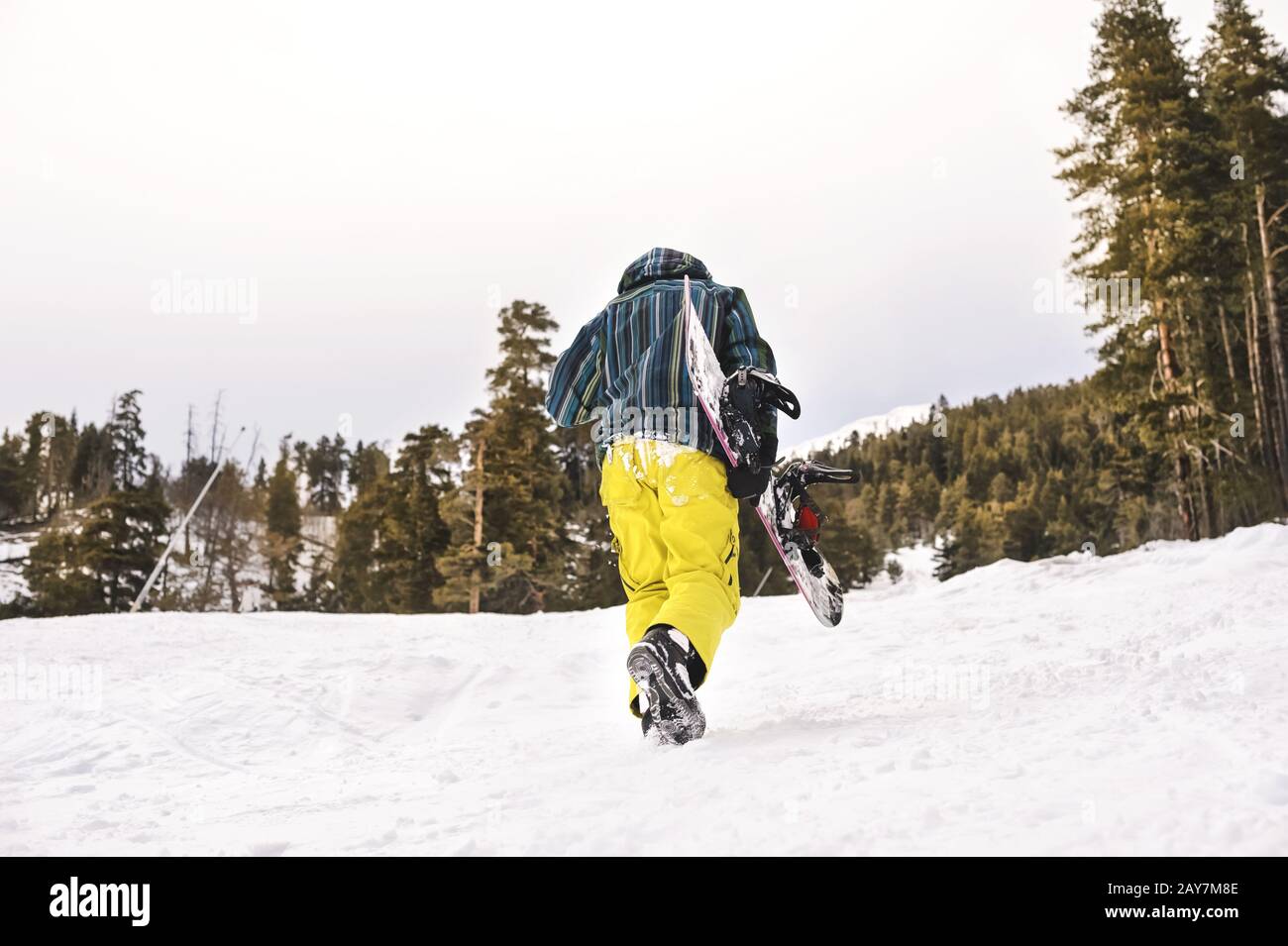 Skisui hi-res stock photography and images - Alamy