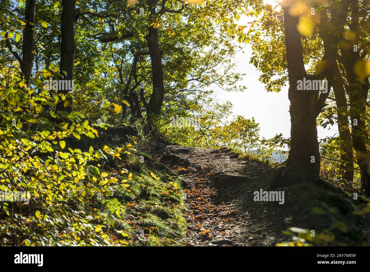 Sun path hi-res stock photography and images - Alamy