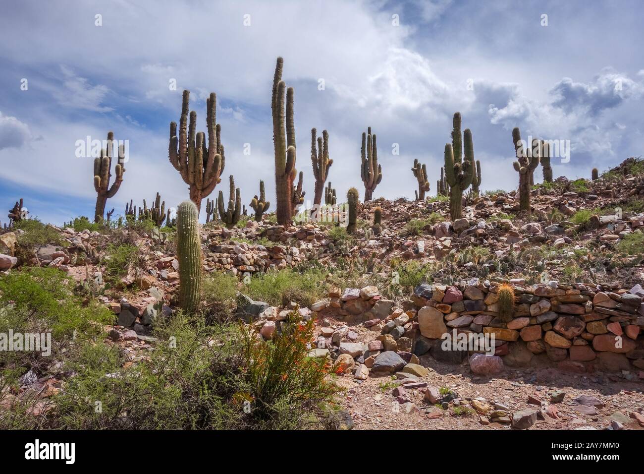 Tilcara argentina hi-res stock photography and images - Alamy