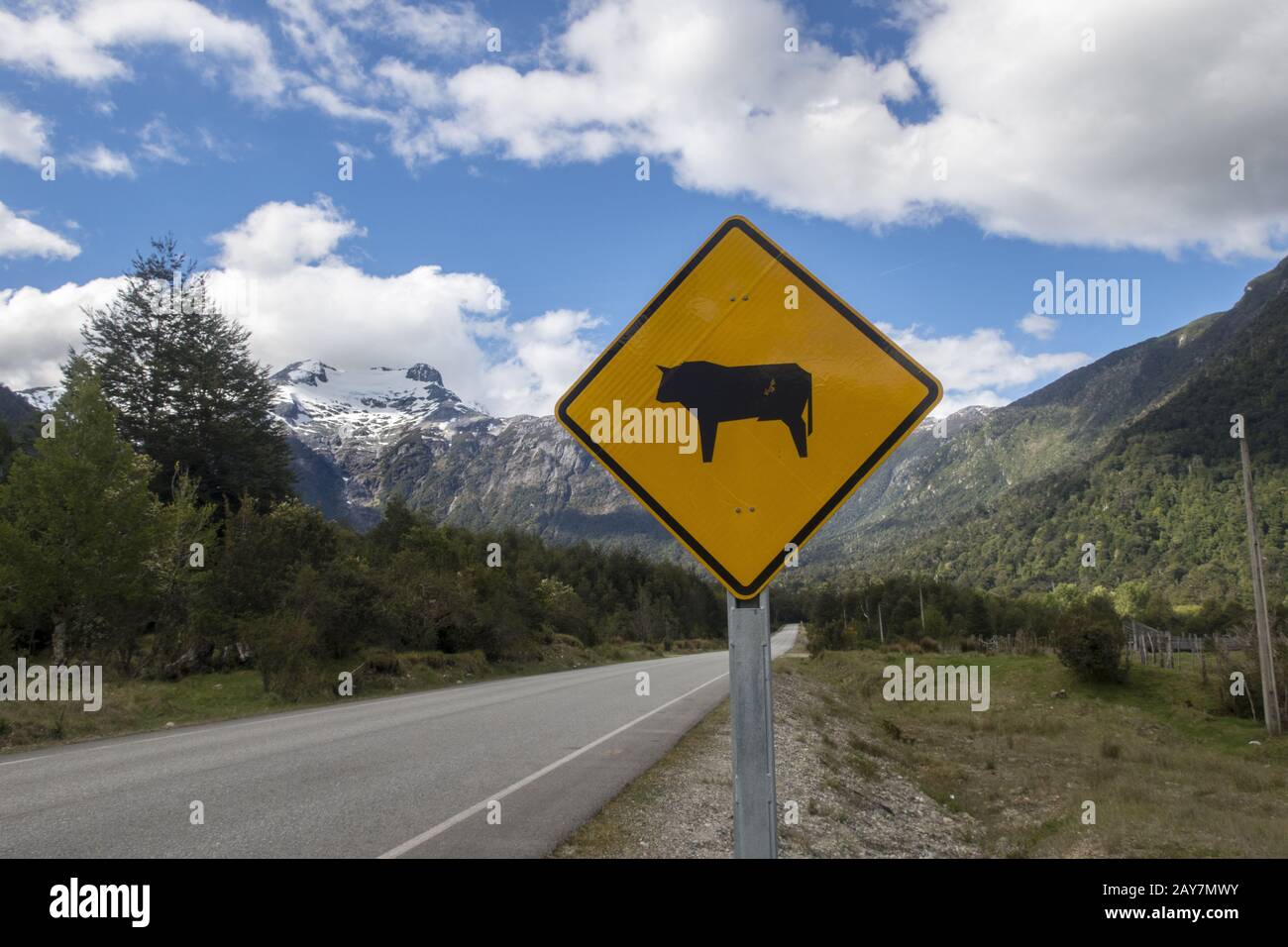 Cow road warning signs on the Carretera austral Stock Photo - Alamy
