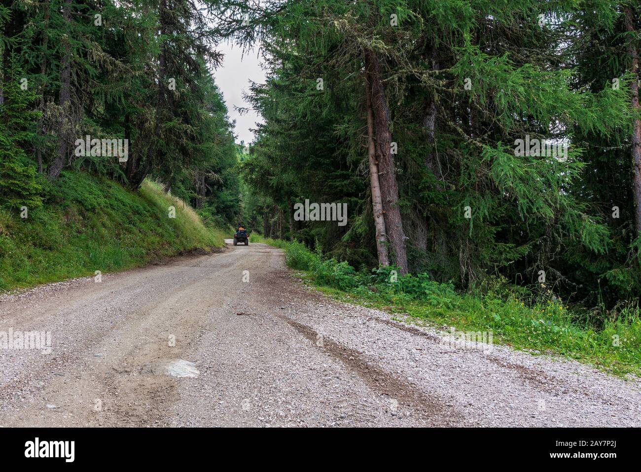 A quad on the forest path in the Dolomites Stock Photo - Alamy