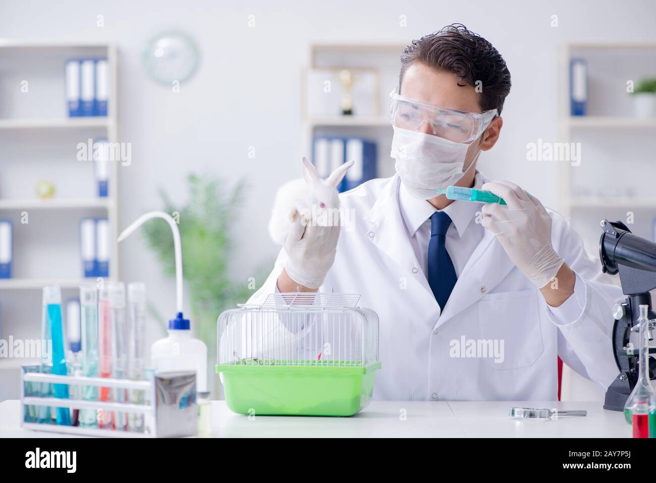 Vet doctor examining rabbit in pet hospital Stock Photo - Alamy