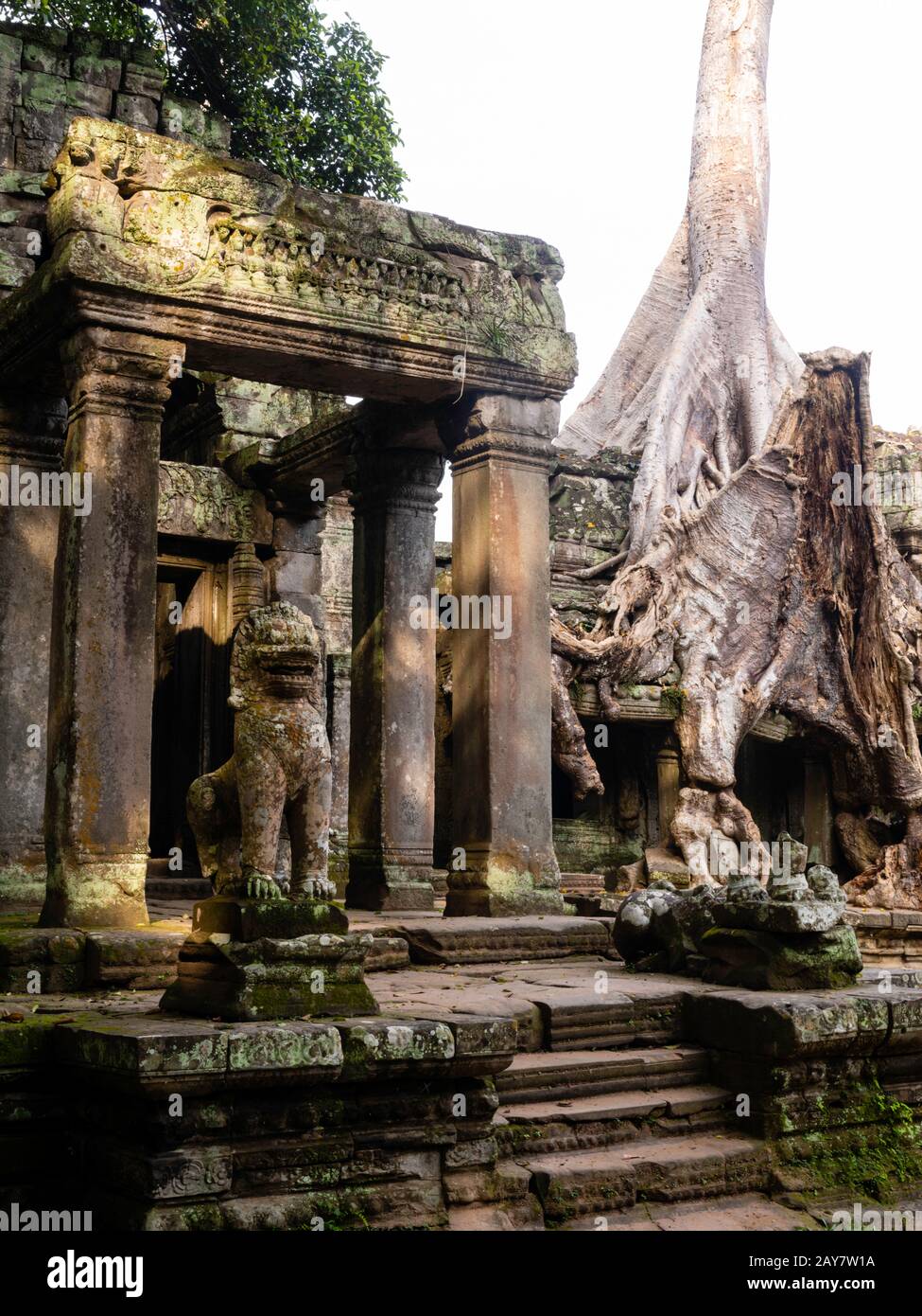 Image from Preaha Khan temple, a part of the Angkor Wat Archeological Park, Siem Reap, Cambodia ...