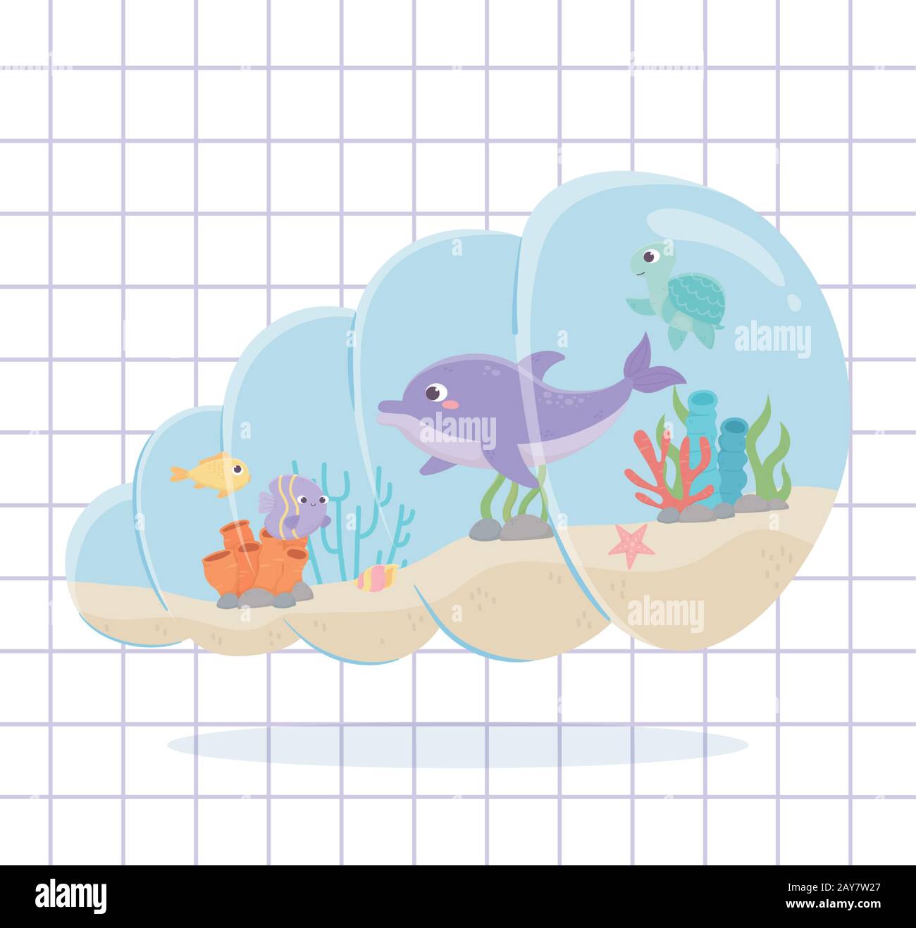 dolphin fishes turtle reef coral under the sea grid background vector ...