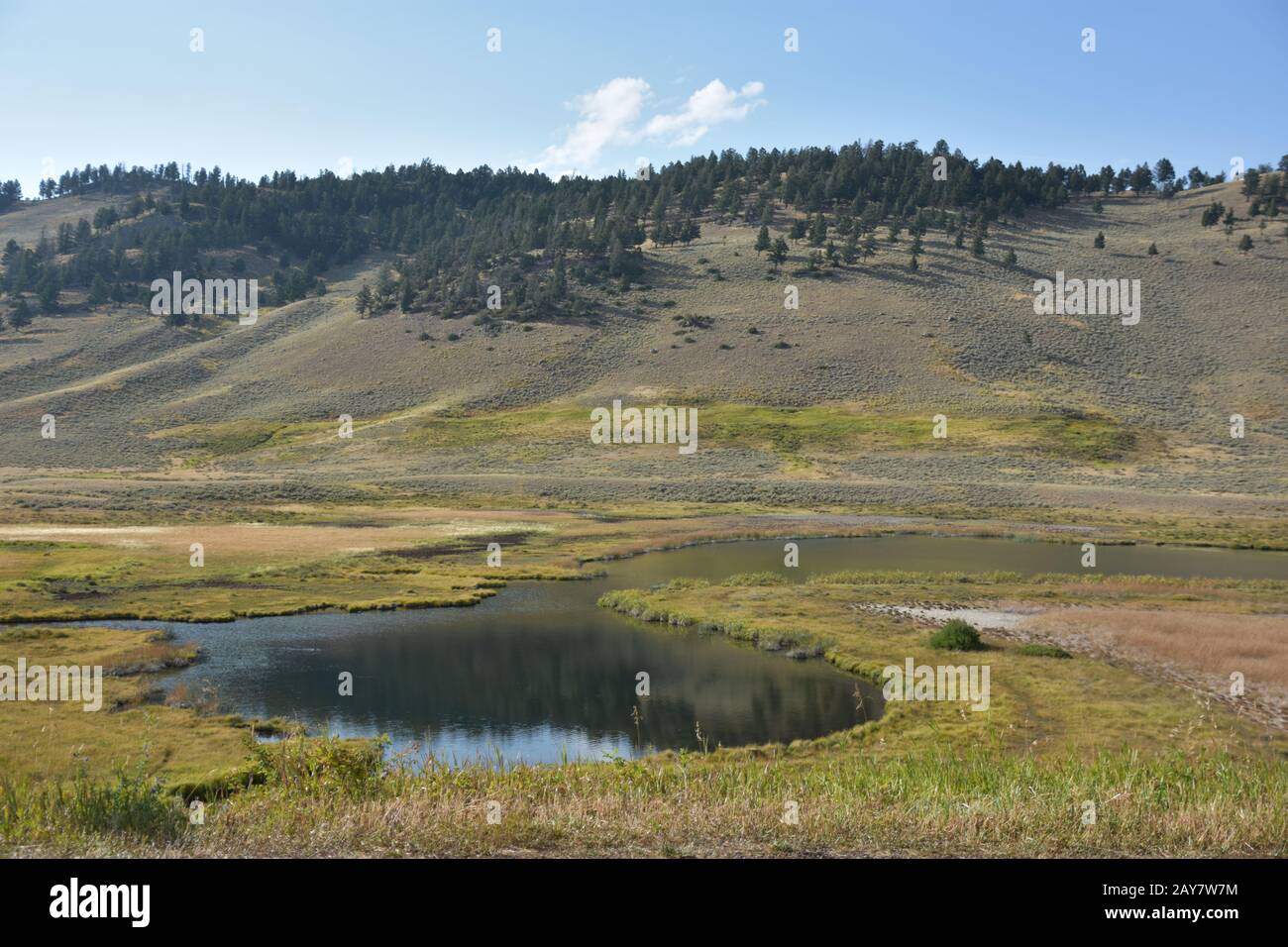Blacktail ponds hi-res stock photography and images - Alamy