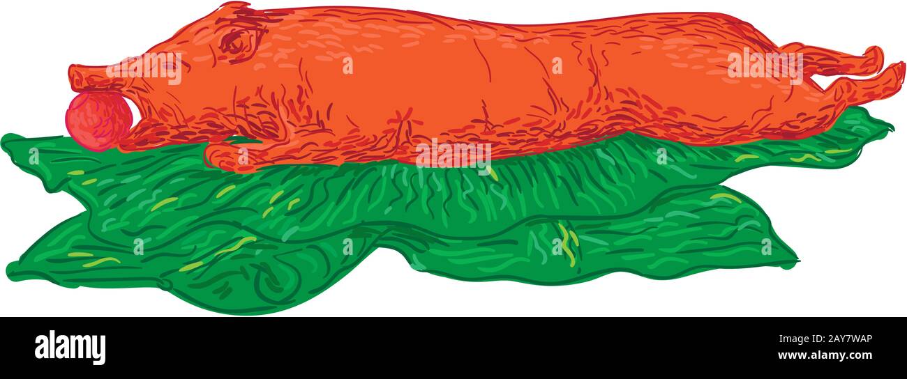 Roast Pig Lechon Banana Leaves Drawing Stock Photo - Alamy