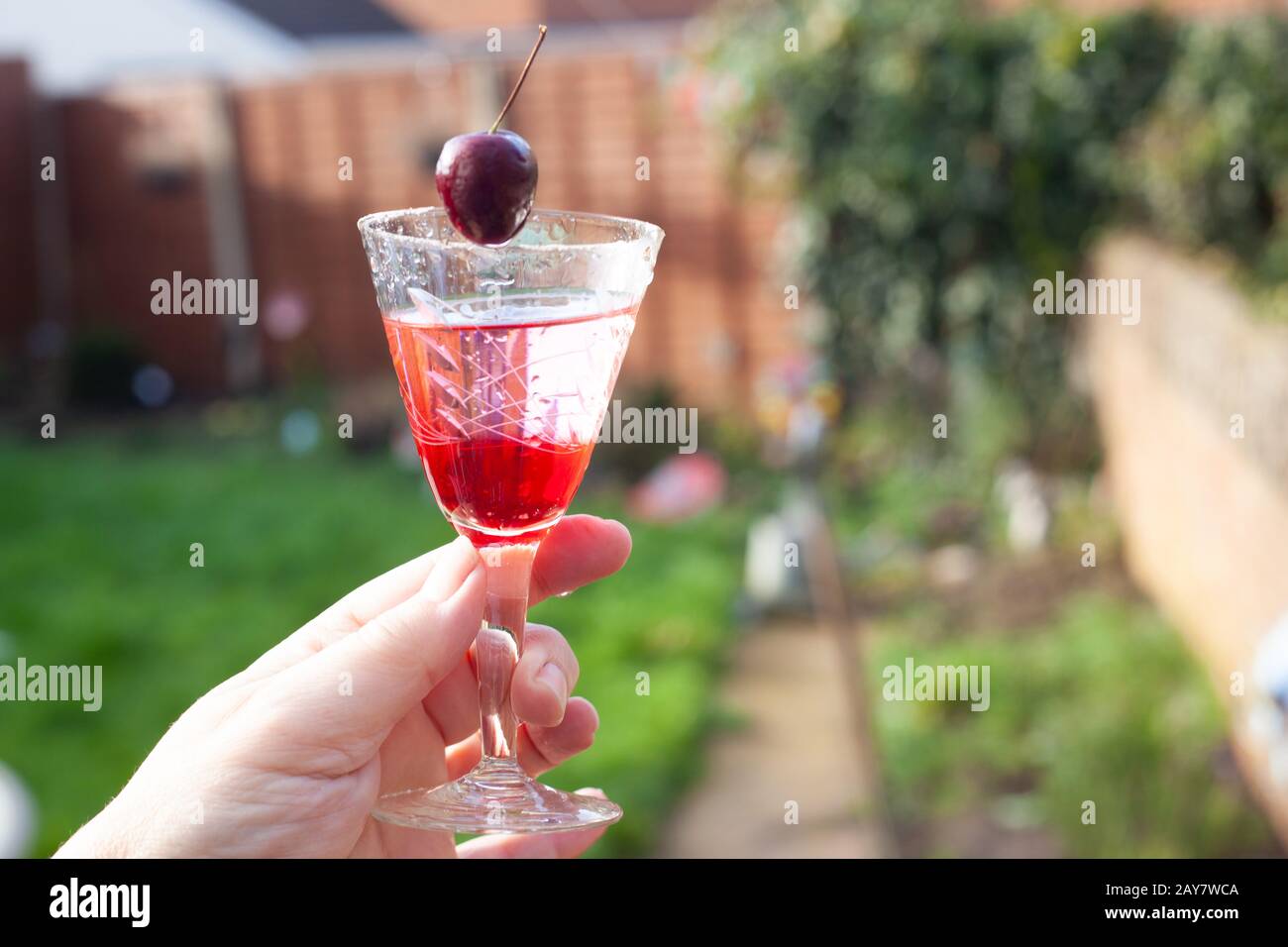 Female hand raising a cocktail glass against a garden background.Model ...