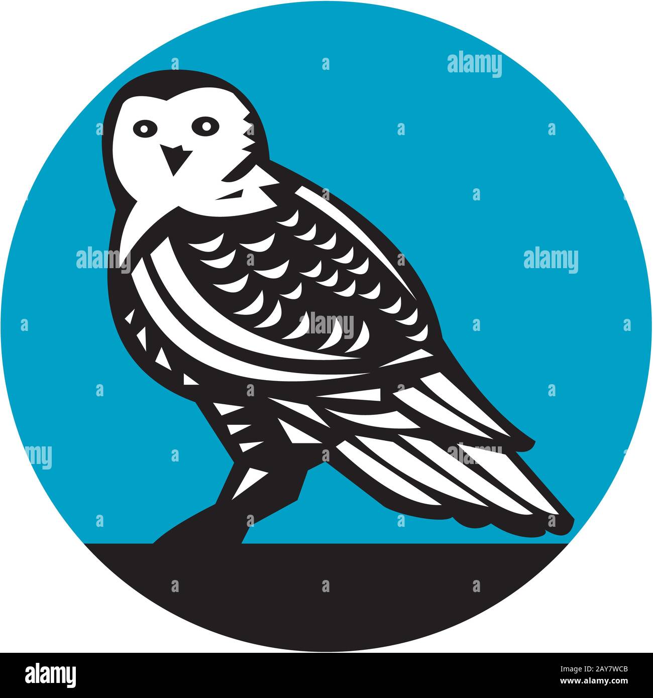 Owl circle hi-res stock photography and images - Alamy