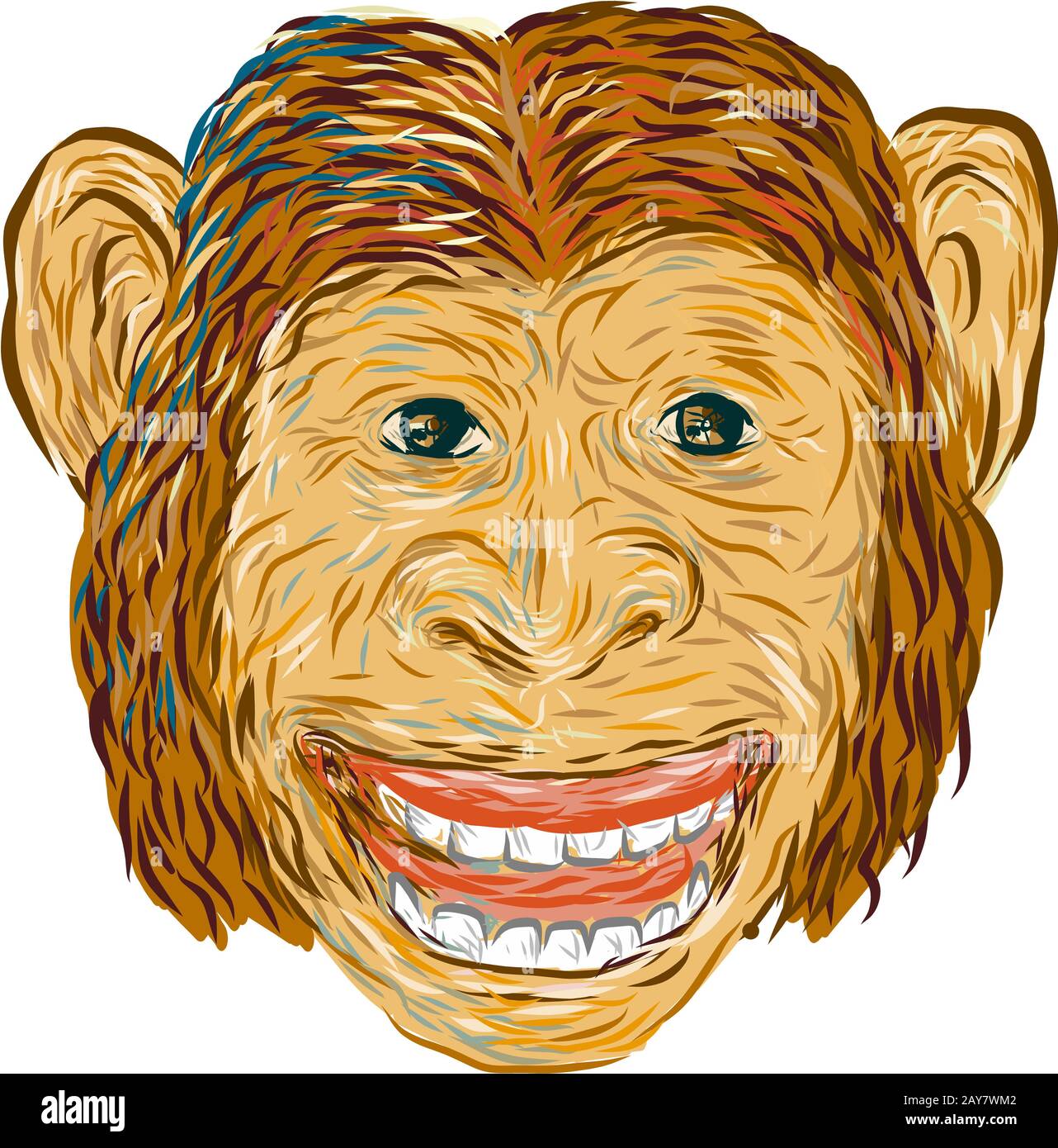 Chimpanzee Head Front Isolated Stock Photo - Alamy