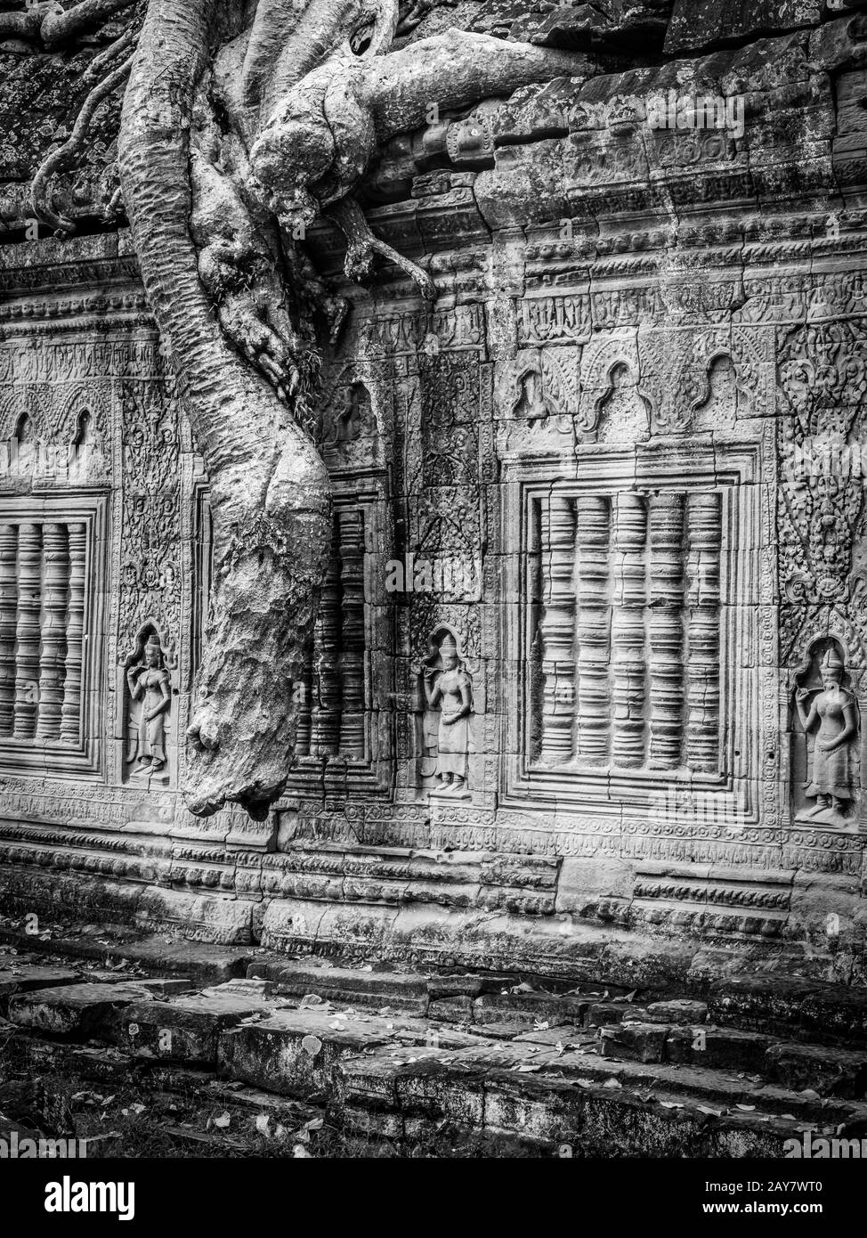 Old laterite stone wall Black and White Stock Photos & Images - Alamy