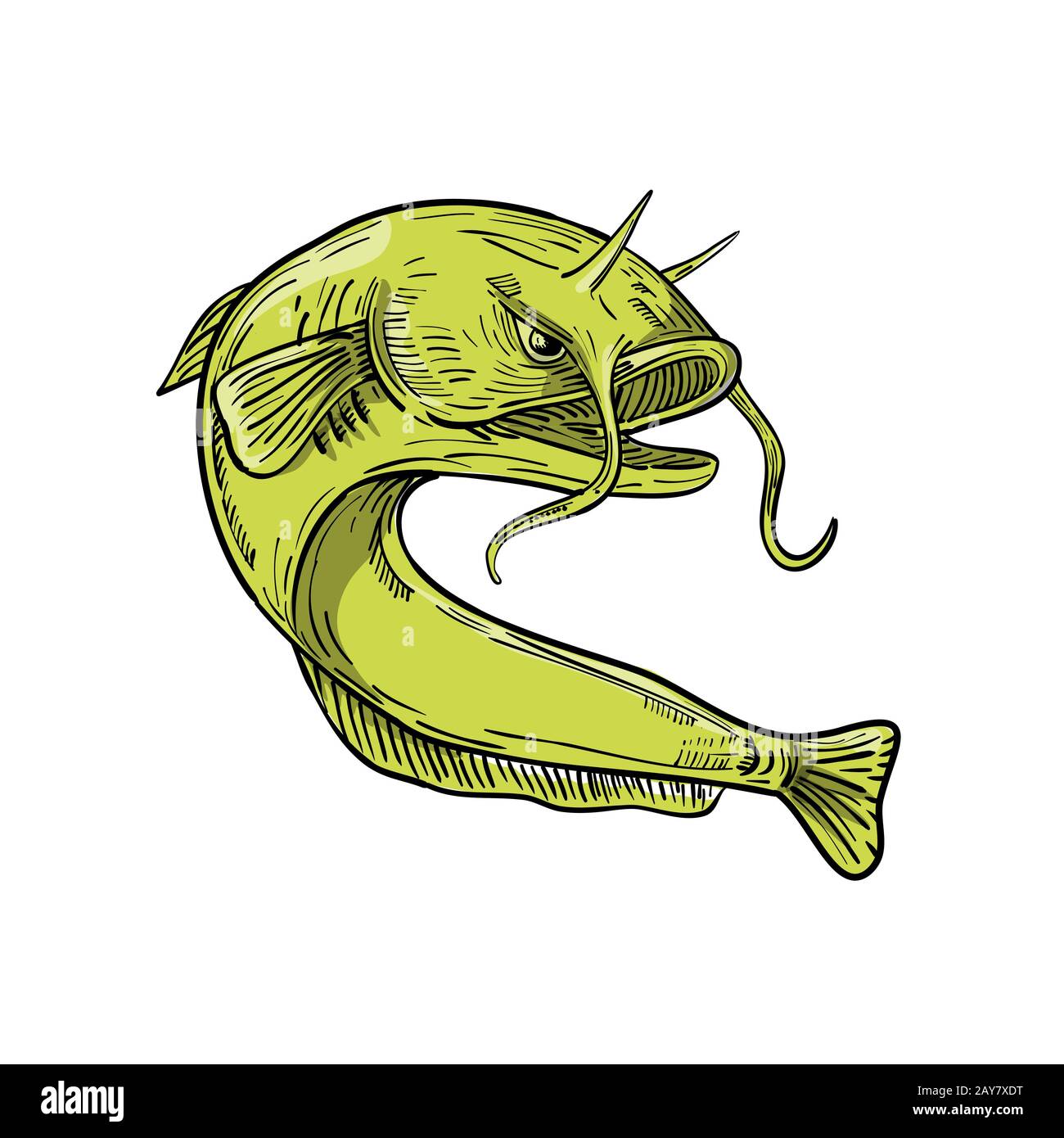 Devil Catfish Jumping Drawing Stock Photo - Alamy