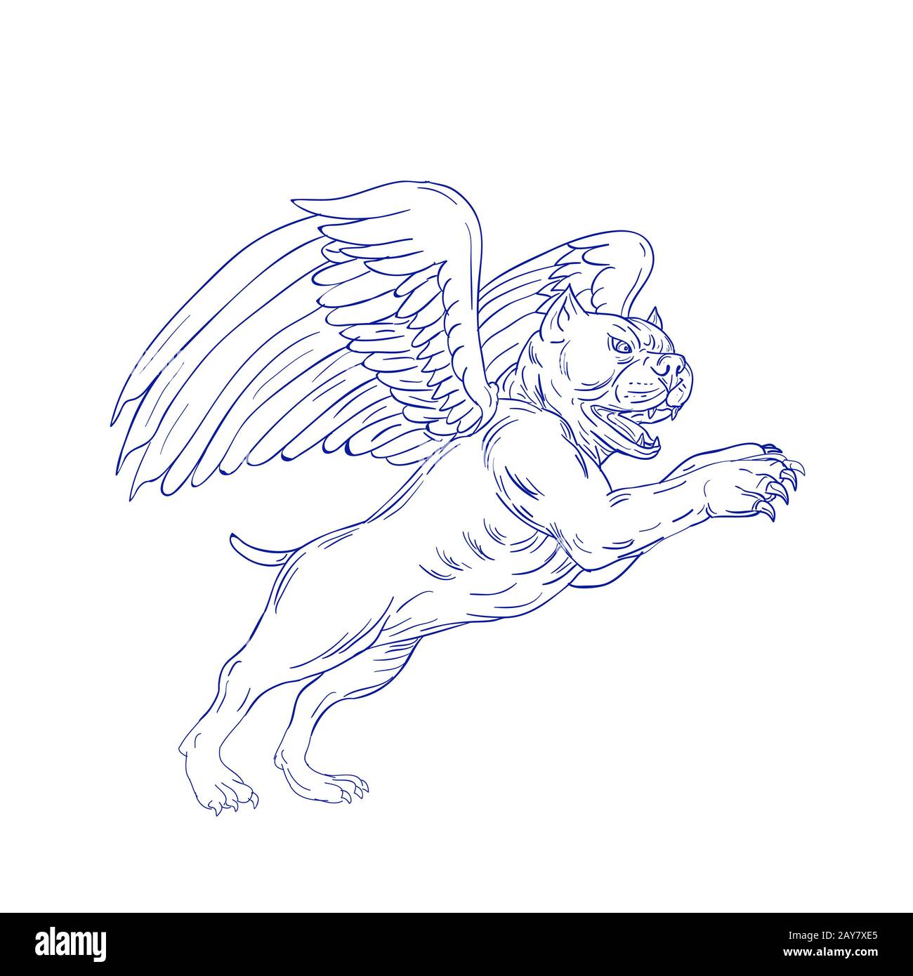 Scratch wing Cut Out Stock Images & Pictures - Alamy