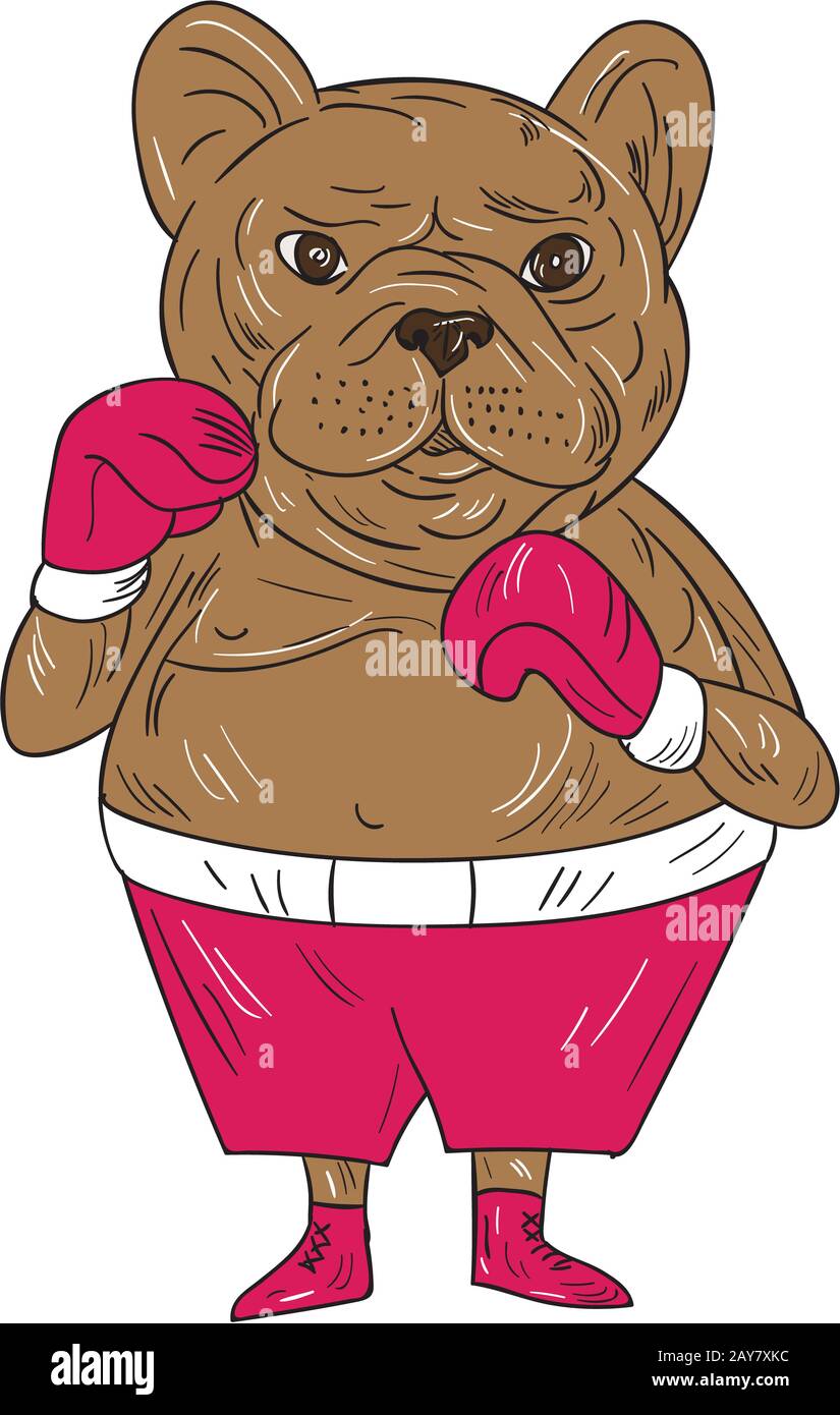 French Bulldog Boxer Boxing Stance Cartoon Stock Photo - Alamy