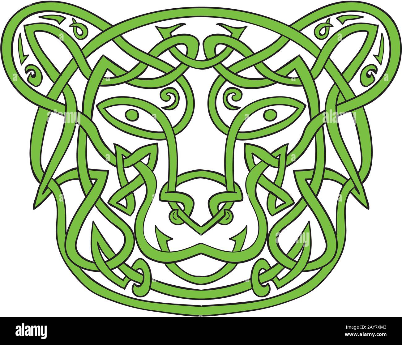 Bear Celtic Knot Stock Photo Alamy bear-celtic-knot-stock-photo-alamy