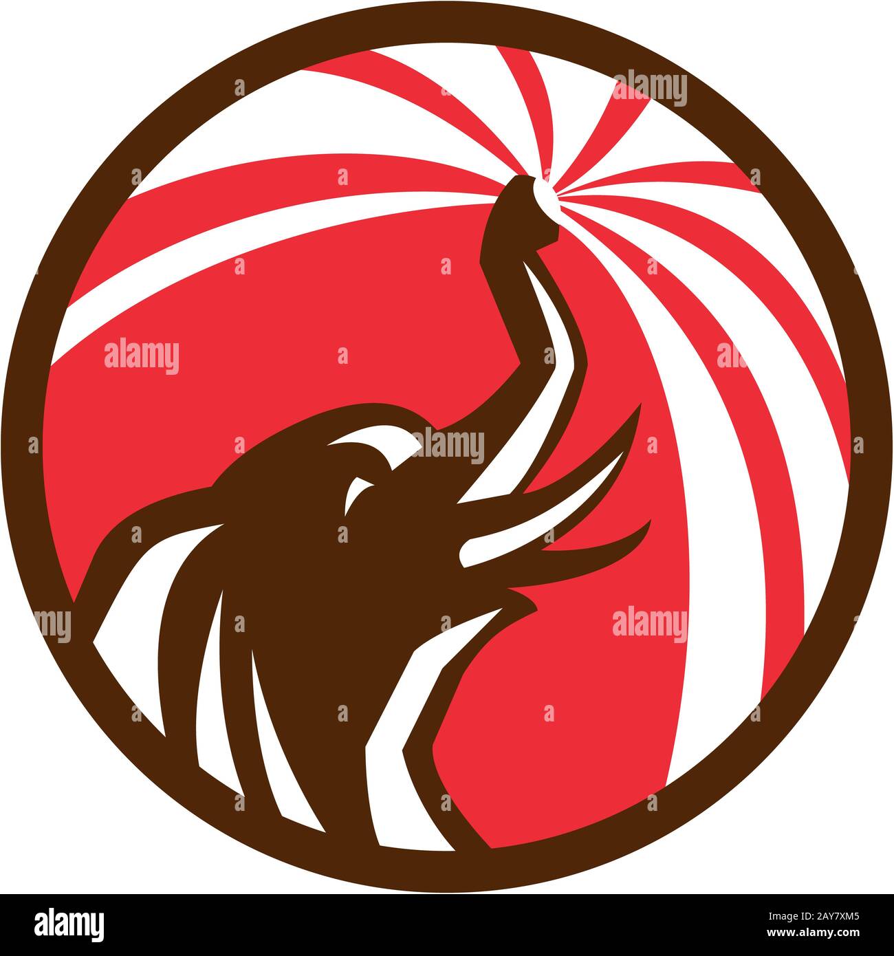 Elephant circle hi-res stock photography and images - Alamy