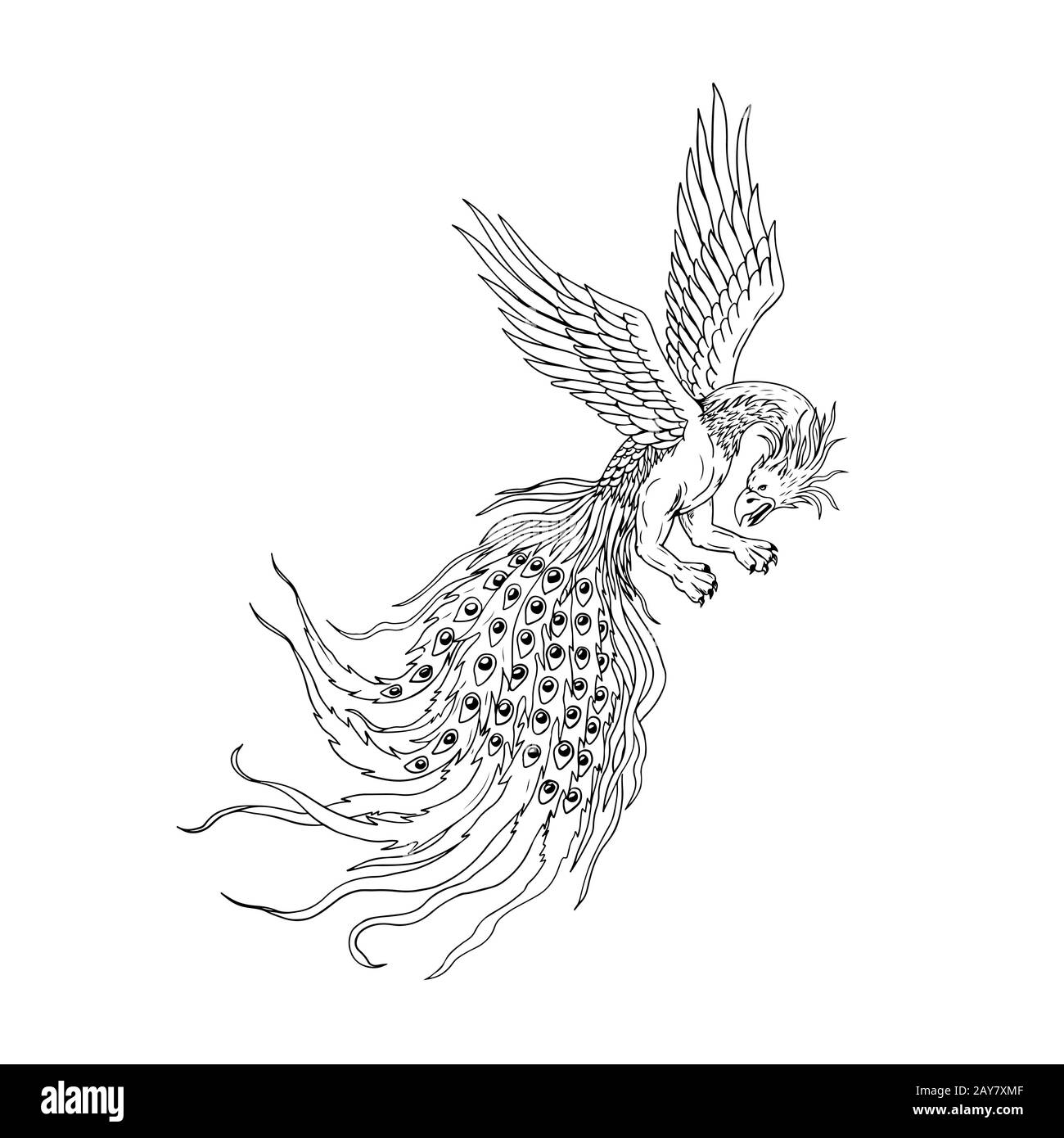Simorgh or Simurgh Flying Drawing Stock Photo - Alamy