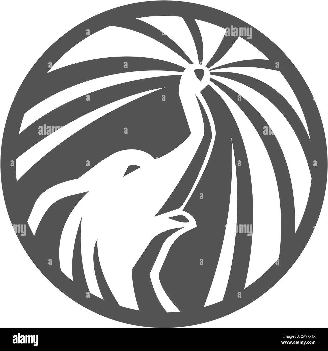 Elephant circle hi-res stock photography and images - Alamy