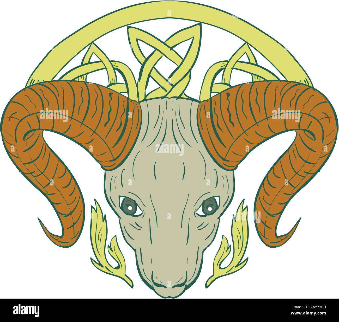 Ram Head Celtic Knot Stock Photo - Alamy