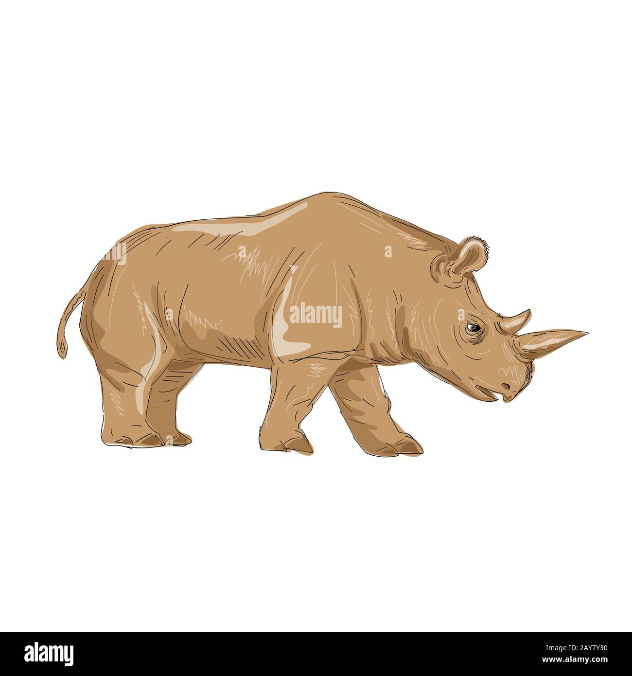 Rhino side view Cut Out Stock Images & Pictures - Alamy