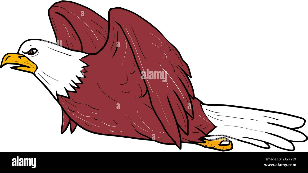 Cartoon eagle flying hi-res stock photography and images - Alamy