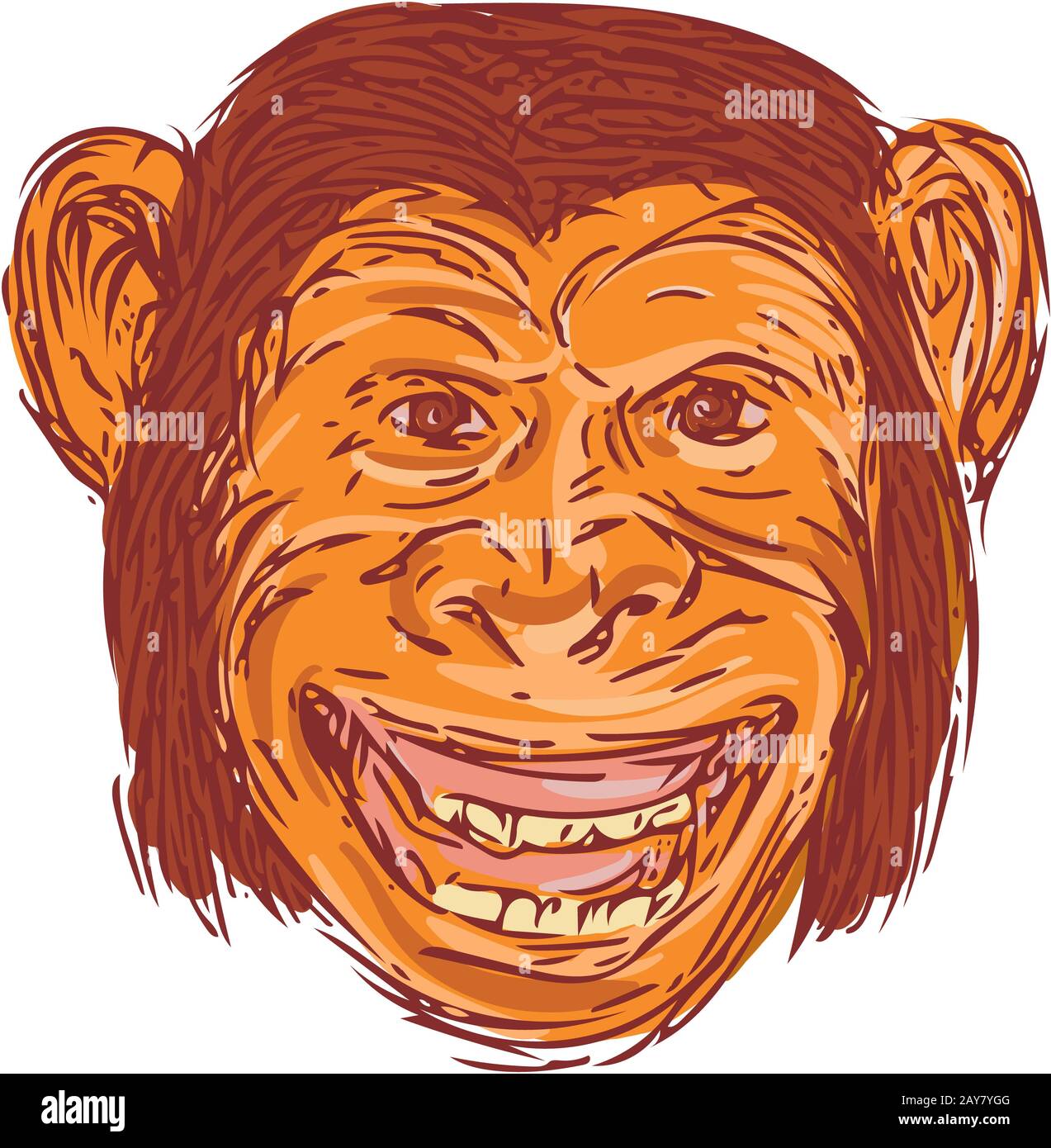Chimpanzee Drawing High Resolution Stock Photography and Images - Alamy