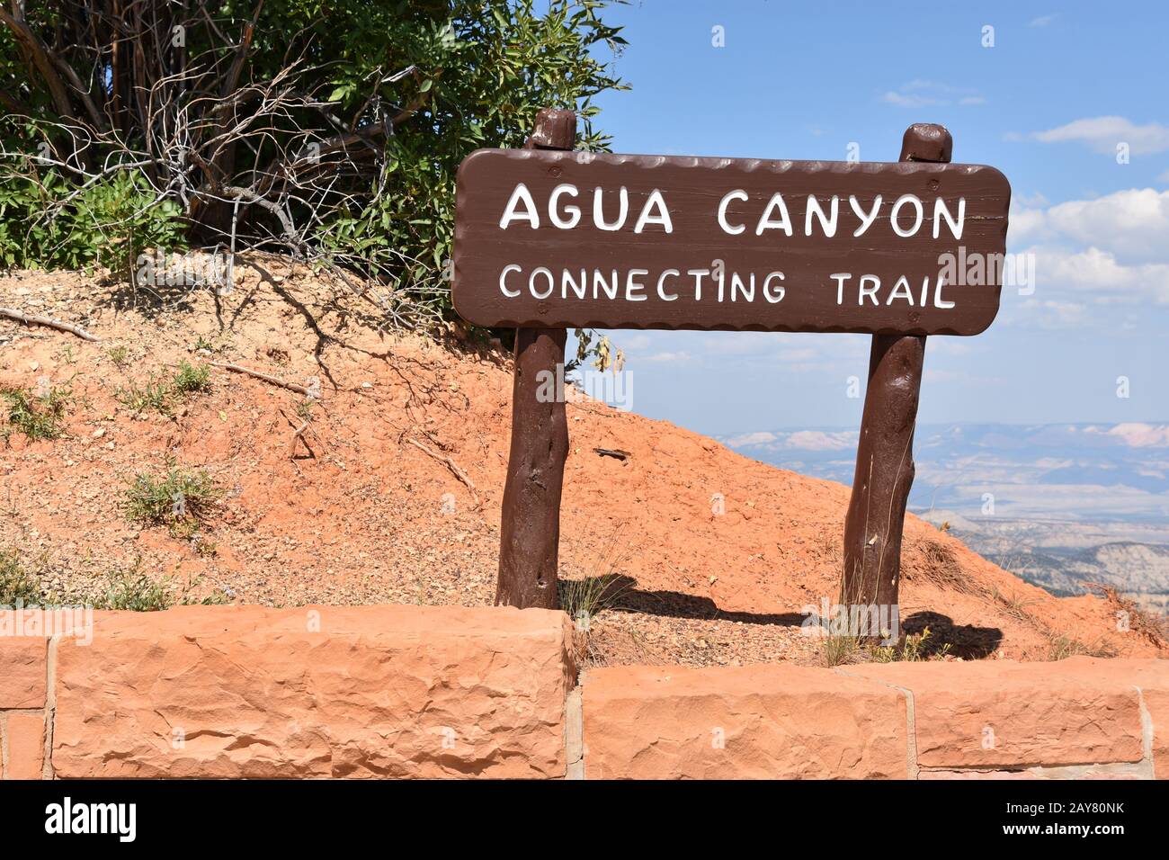 Ponderosa Point in Bryce Canyon National Park in Utah Stock Photo - Alamy