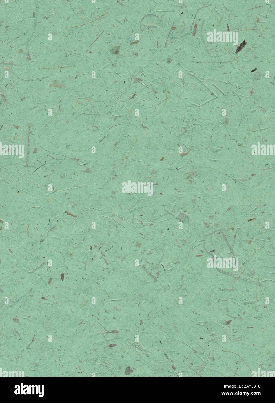 Green handmade paper background with dried plants pattern Stock Photo ...