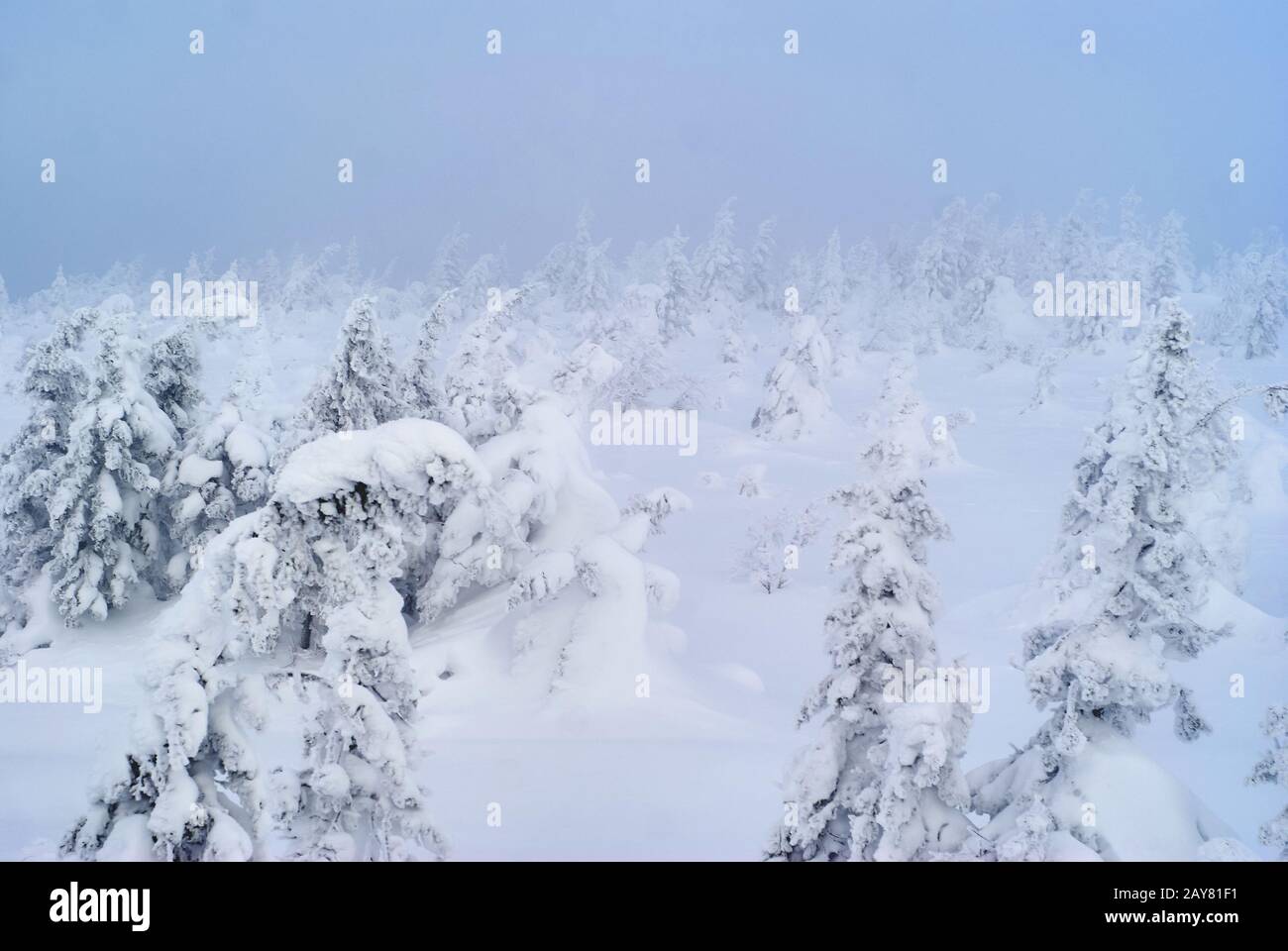 Boreal Mountain High Resolution Stock Photography and Images - Alamy