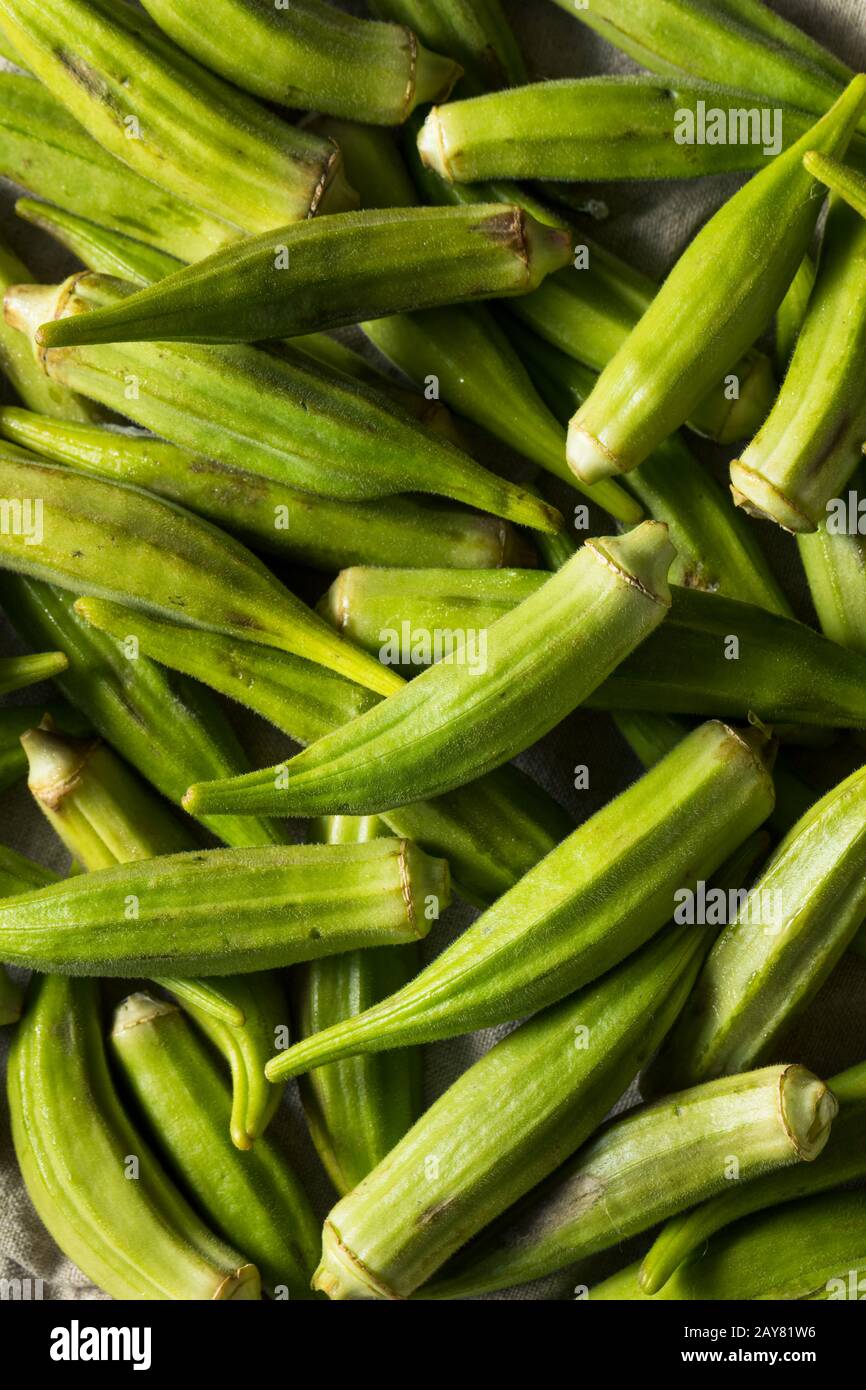 Raw Green Organic Okra Pods in a Bunch Stock Photo - Alamy