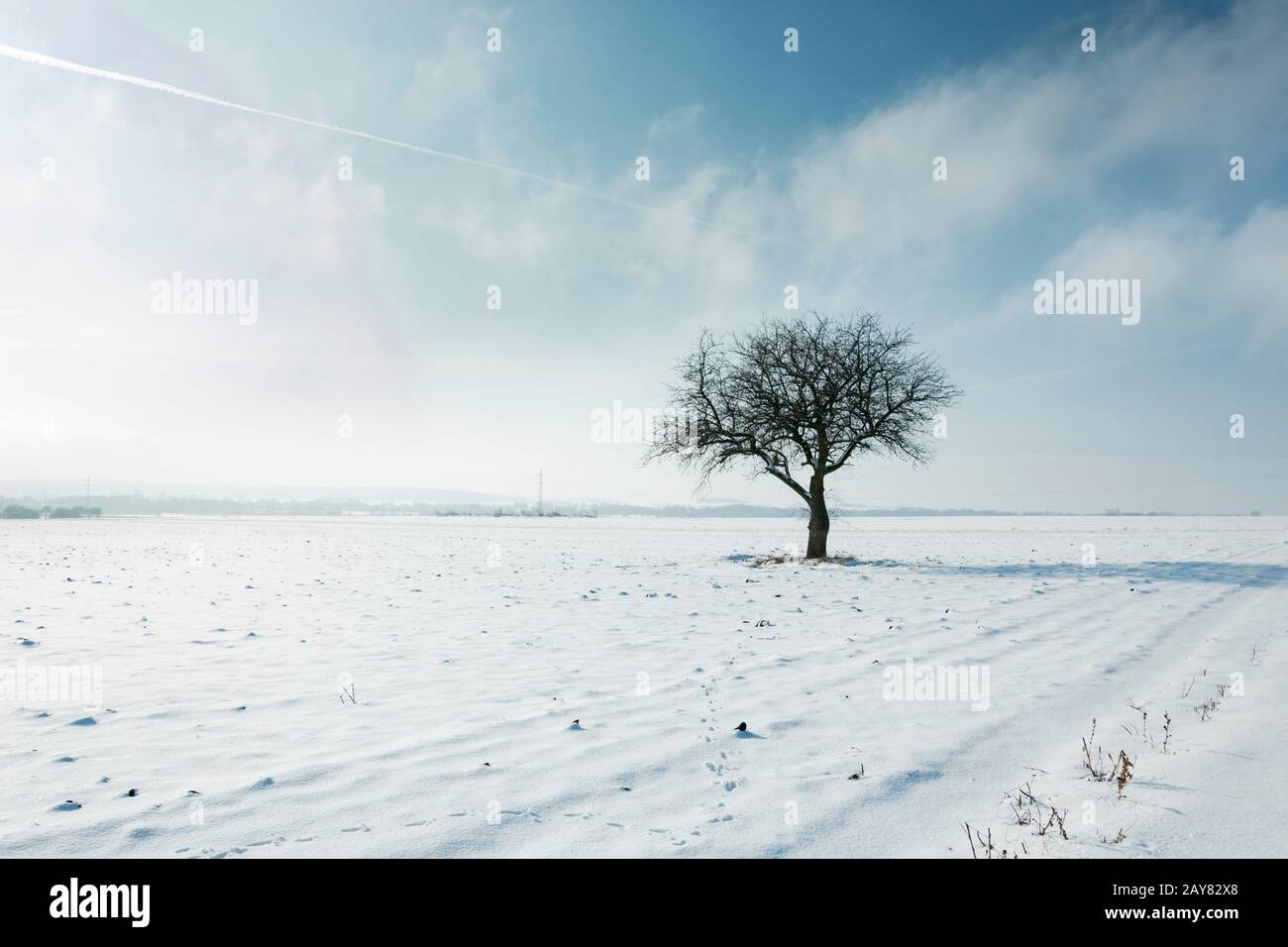 Alone fog one single hi-res stock photography and images - Alamy