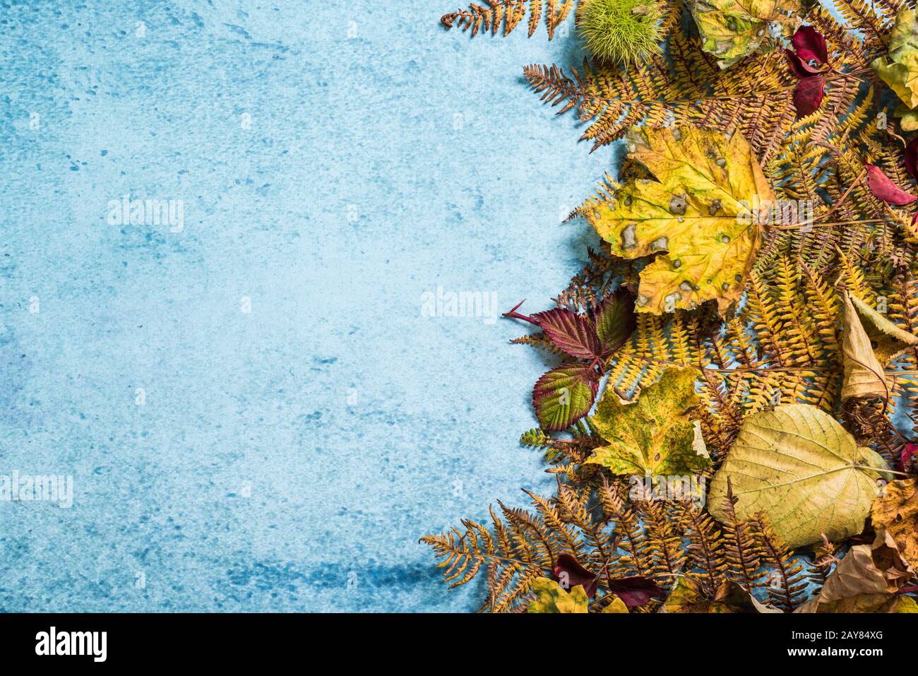 Moody fall foliage hi-res stock photography and images - Alamy