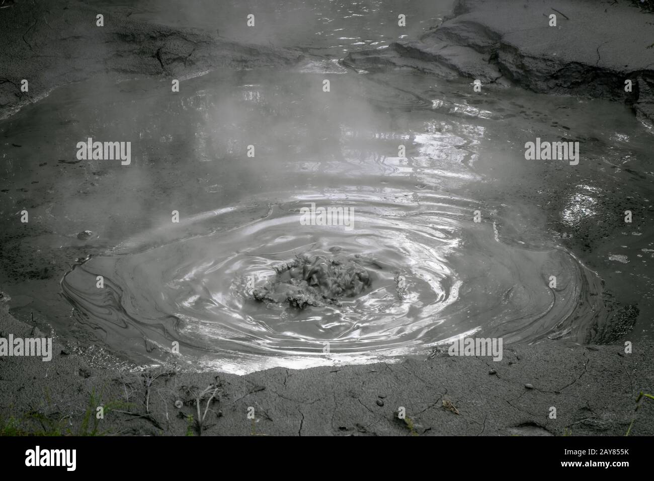 Mud pool new zealand hi-res stock photography and images - Alamy