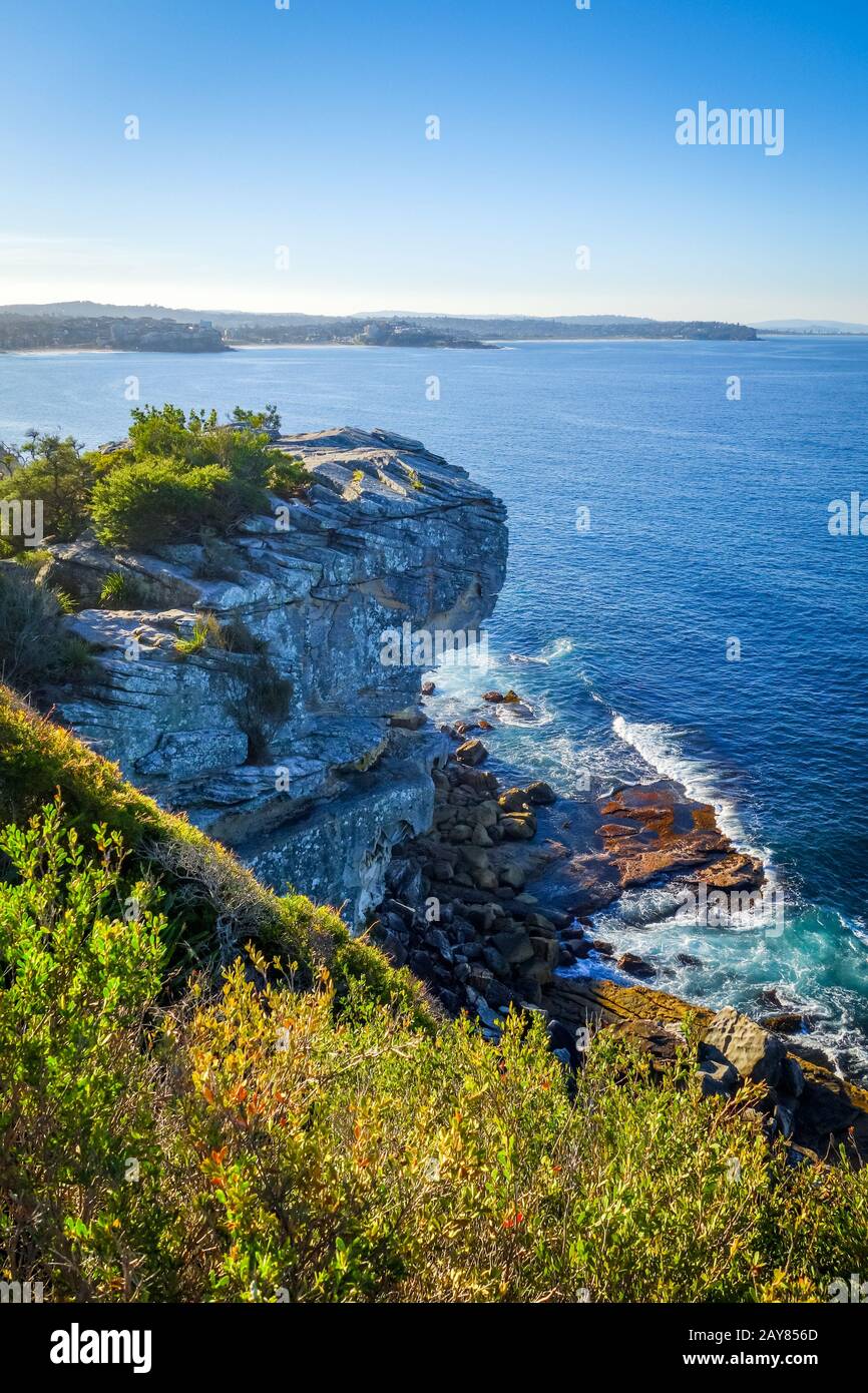 Manly Beach coastal cliffs, Sydney, Australia Stock Photo - Alamy