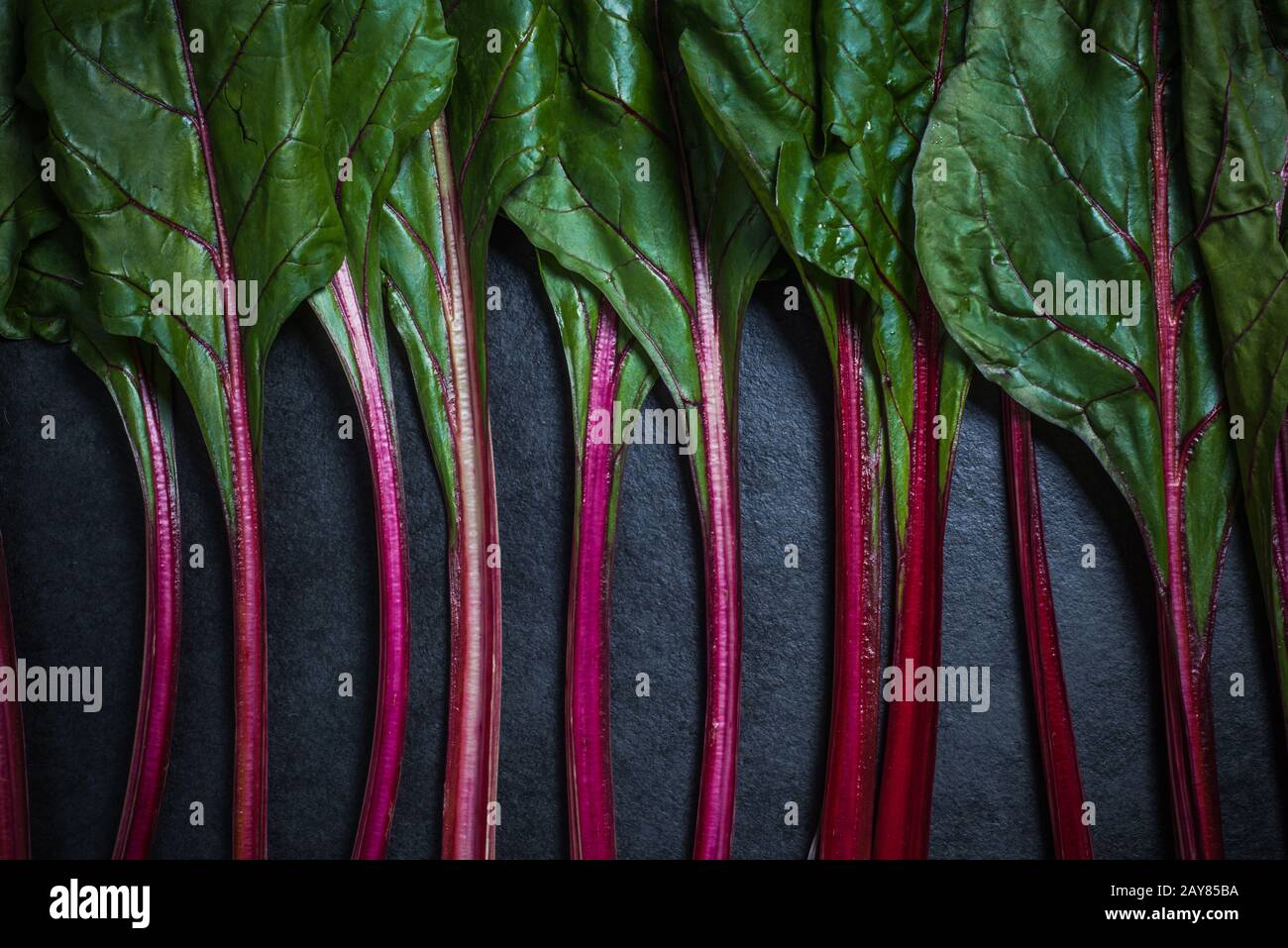 Red chard , vibrant vegetable Stock Photo - Alamy