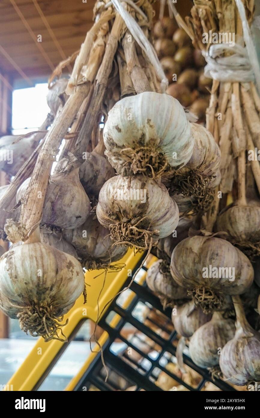 A bunch of garlic hangs in the vegetable section of a shop or at home ...