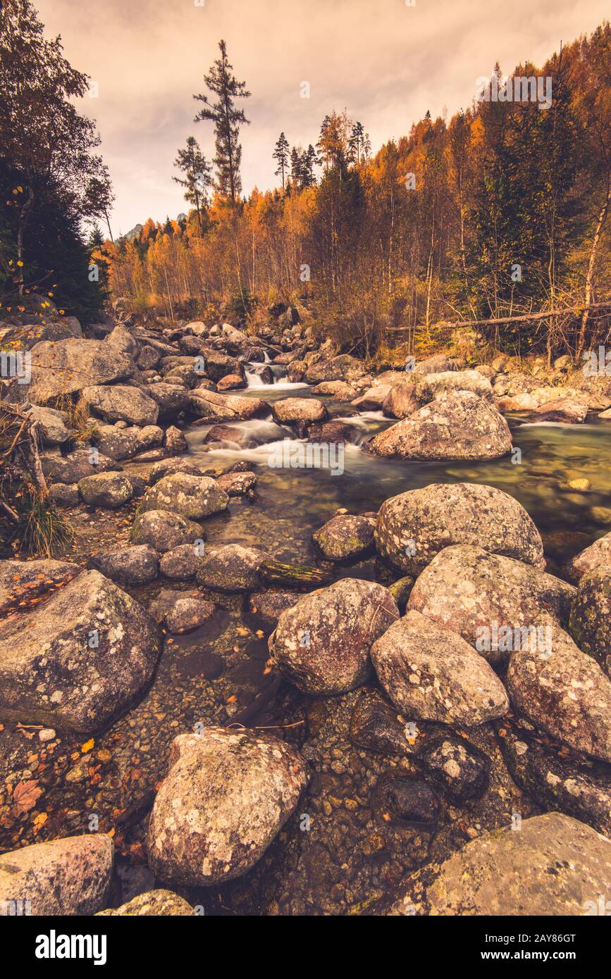 Mountain river in High Tatra mountains,Slovakia Stock Photo - Alamy