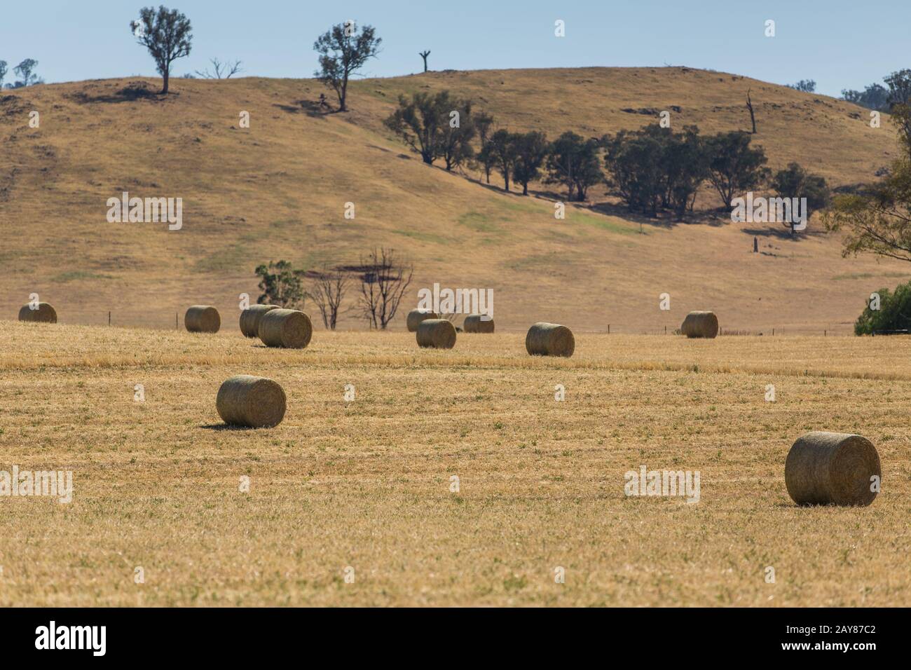 Australian farming header hi-res stock photography and images - Alamy