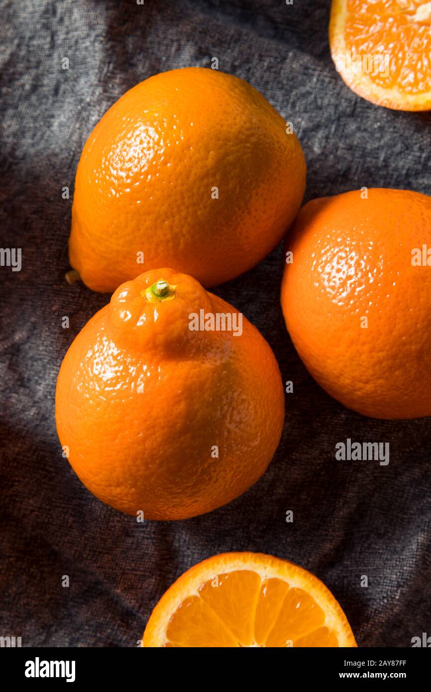 Raw Orange Organic Mineola Tangelo Fruit Ready to Eat Stock Photo - Alamy