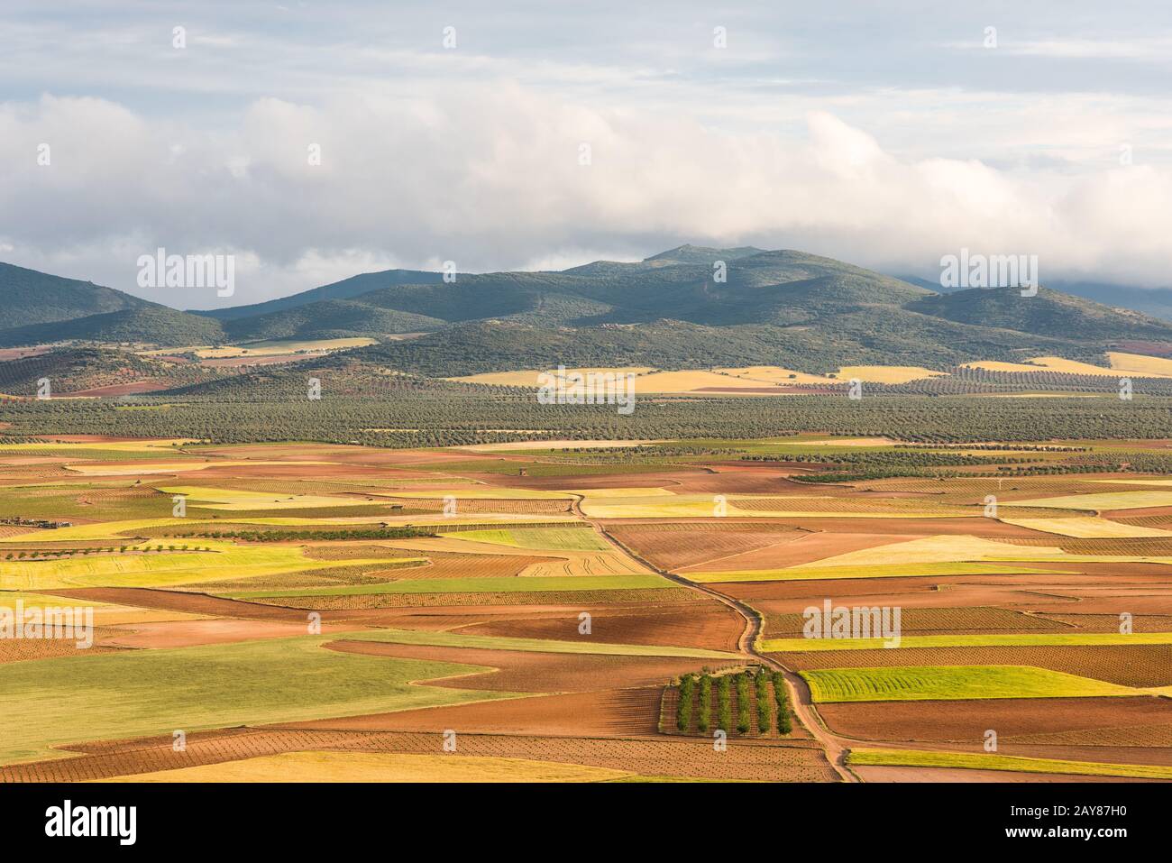 Rural farming landscape in Castila La Mancha,Spain Stock Photo - Alamy