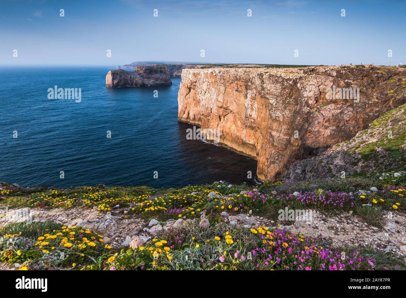Yellow flowers on cliffs hi-res stock photography and images - Alamy