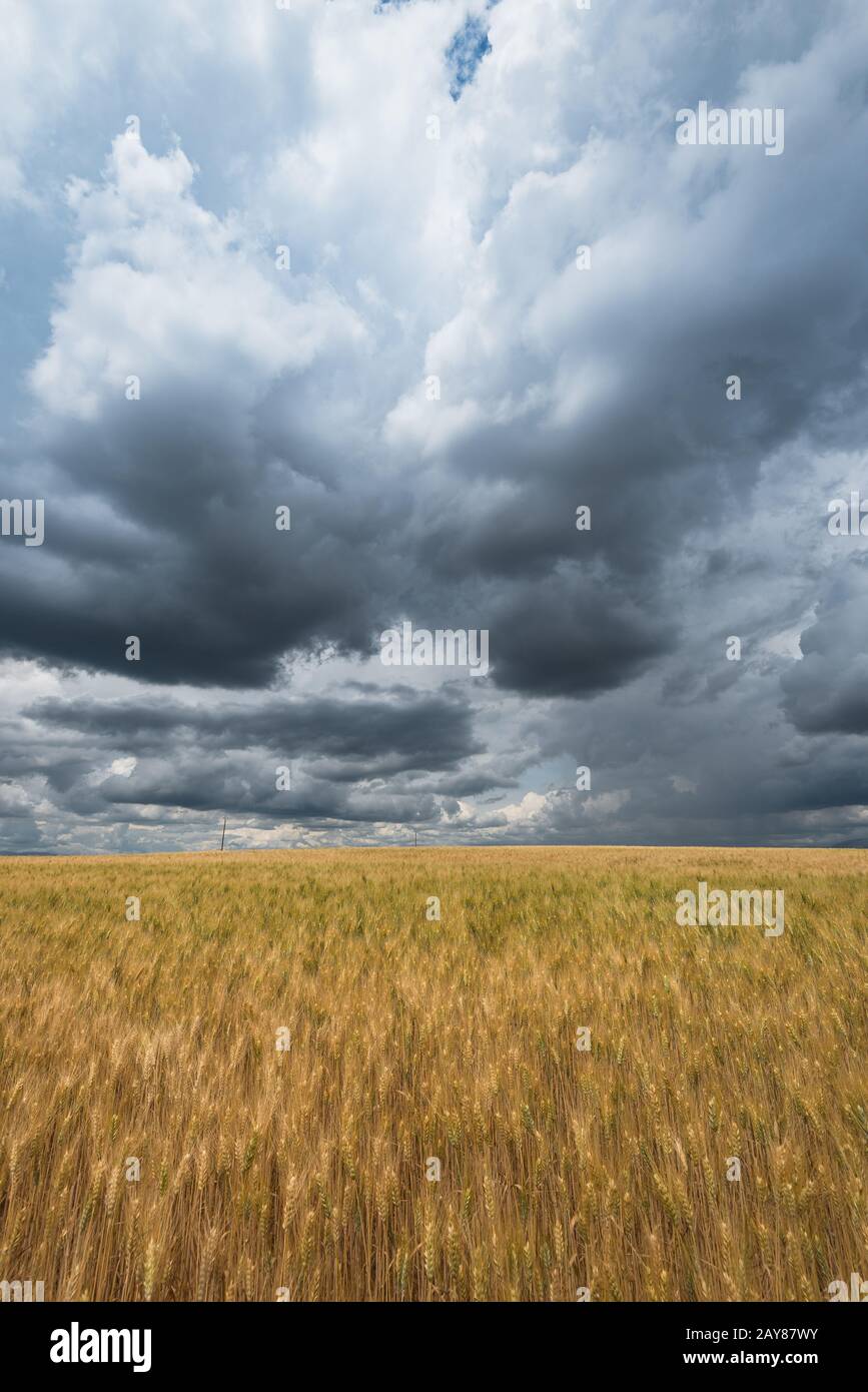 Cloudy sky over fields hi-res stock photography and images - Alamy