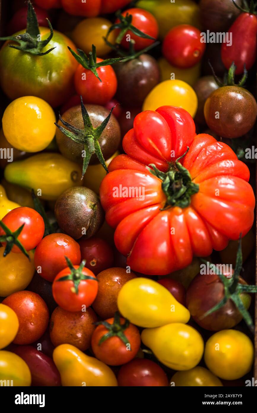 Close view on farm fresh tomatoes Stock Photo - Alamy